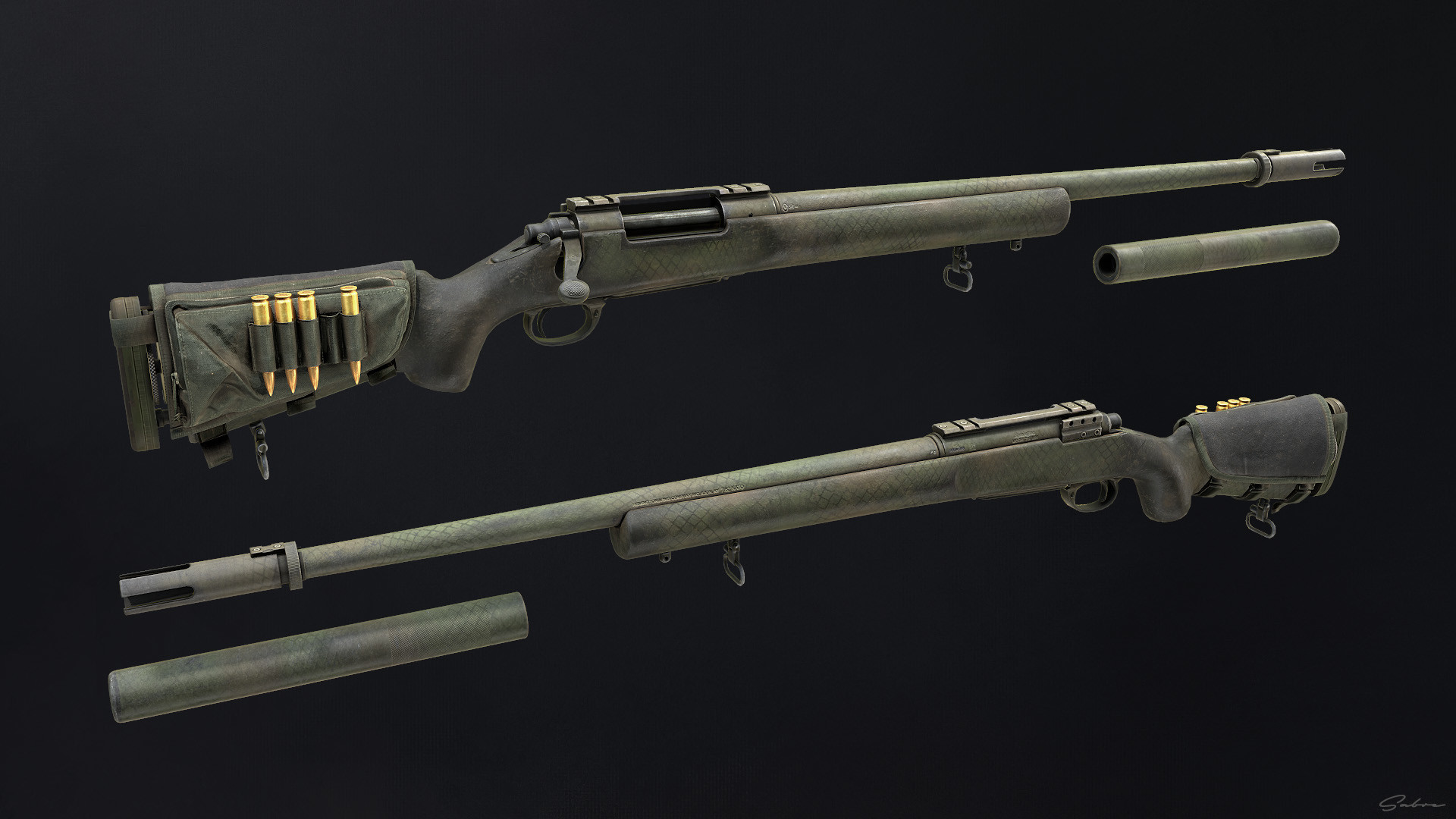 Shaun Young - M24 Sniper Weapon System