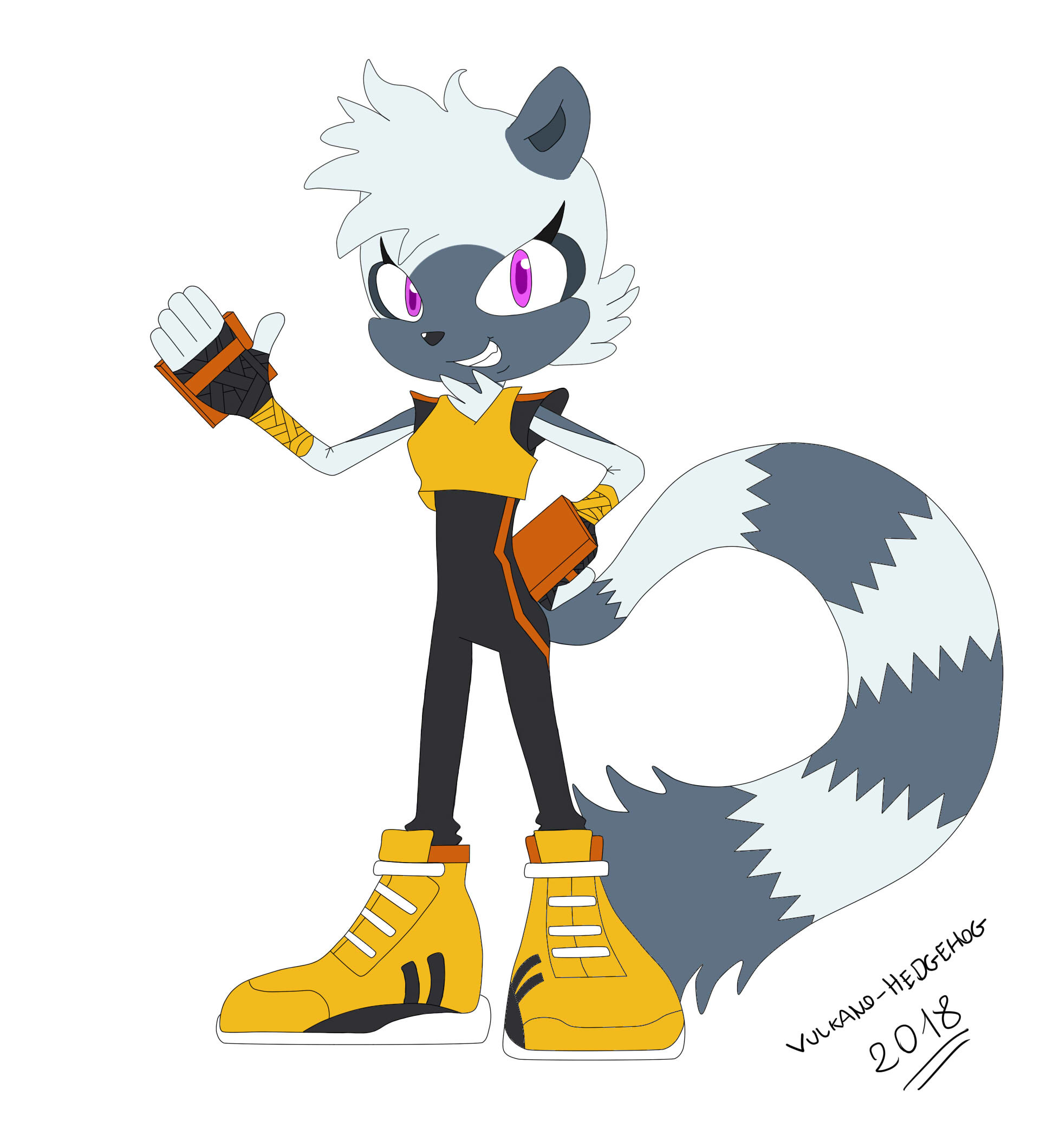 Roberto The Hedgehog