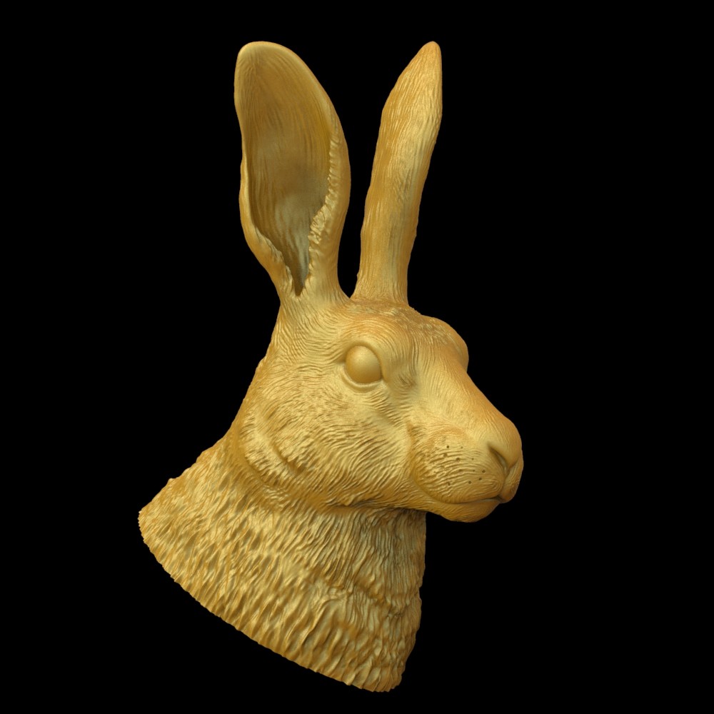 ArtStation - Hare head