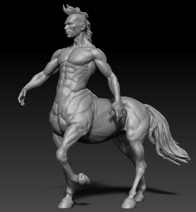 centaur muscle