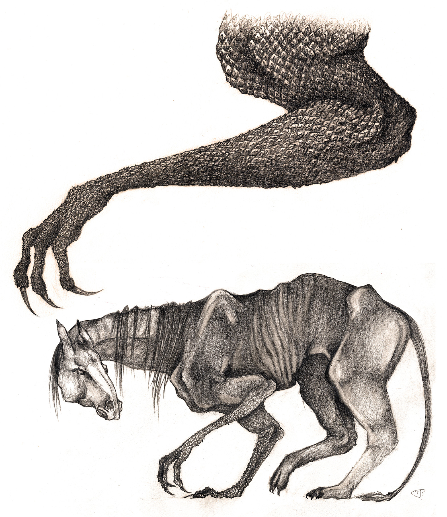 how to draw a dragon paw