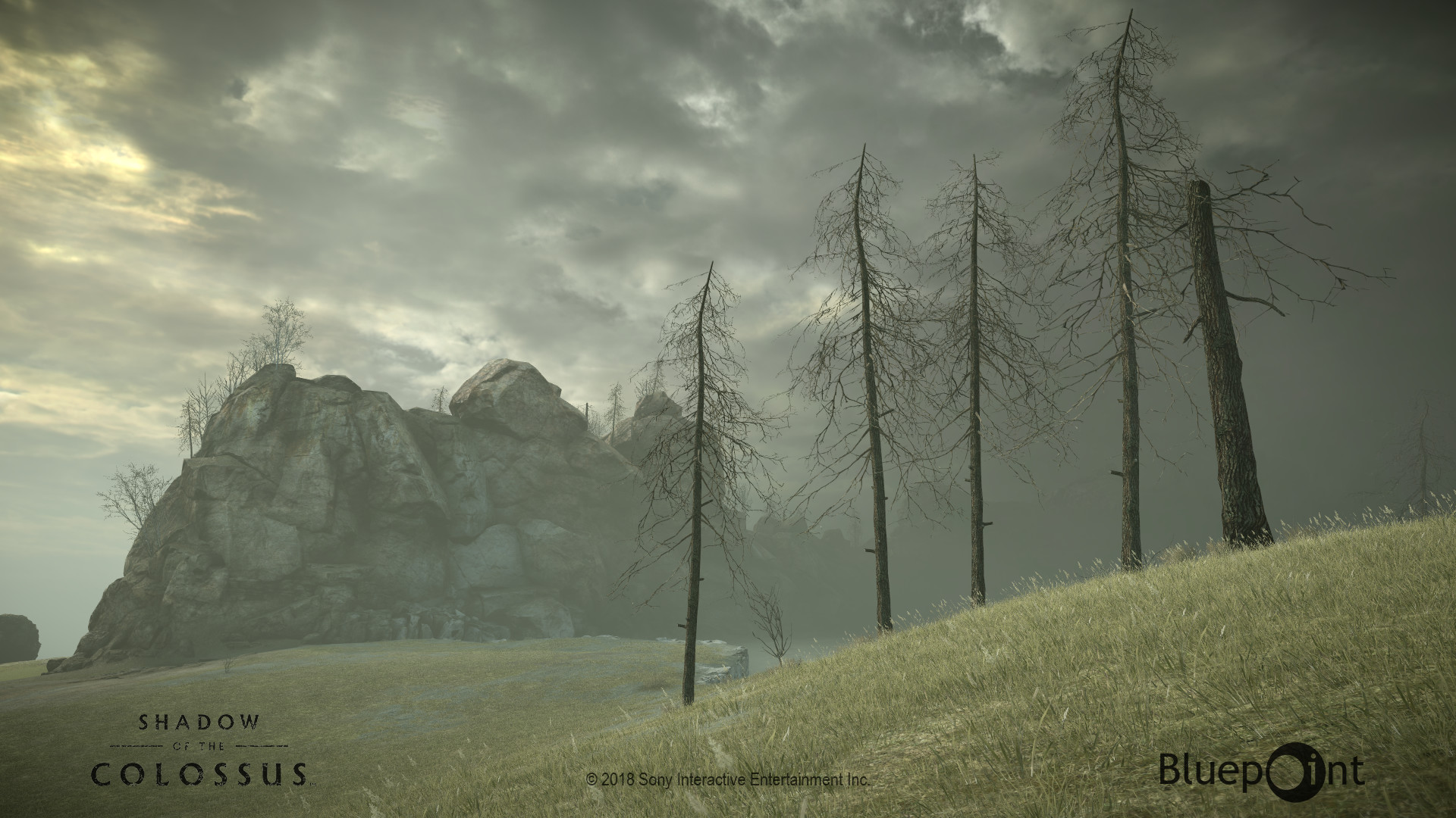 Alexis Boyer - Shadow of the Colossus: Dead forest