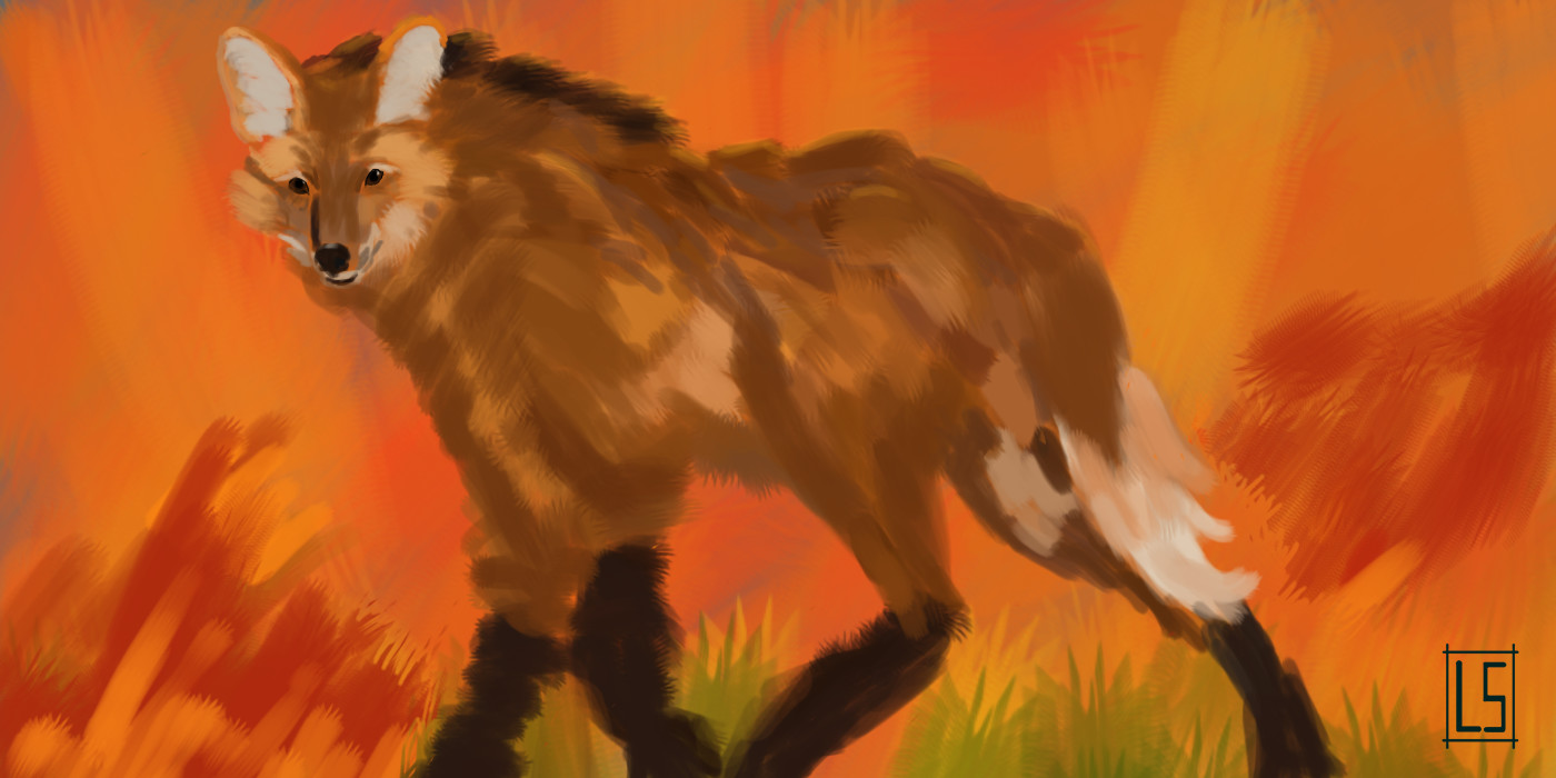 ArtStation - Maned Wolf.