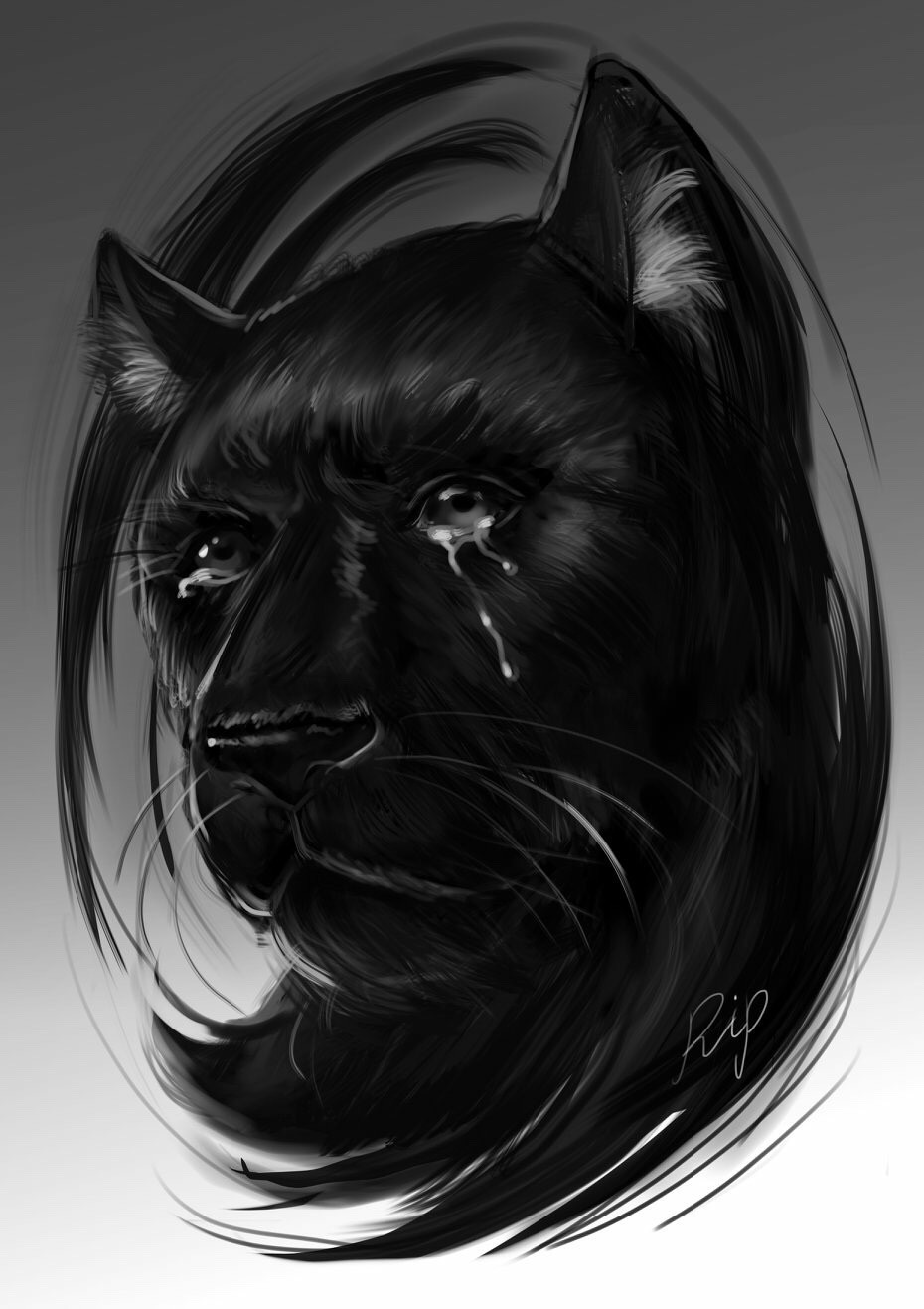 ArtStation - RIP Panther
