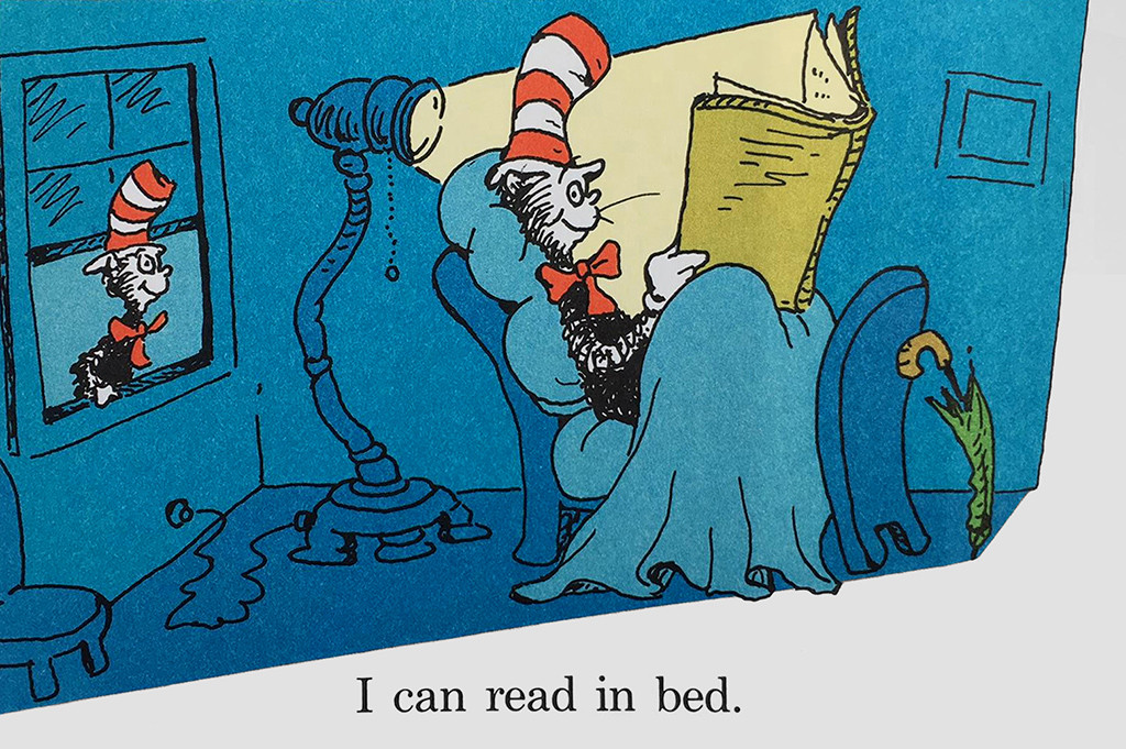 Darren Pattenden - Dr Seuss 'Cat in the hat' scene.