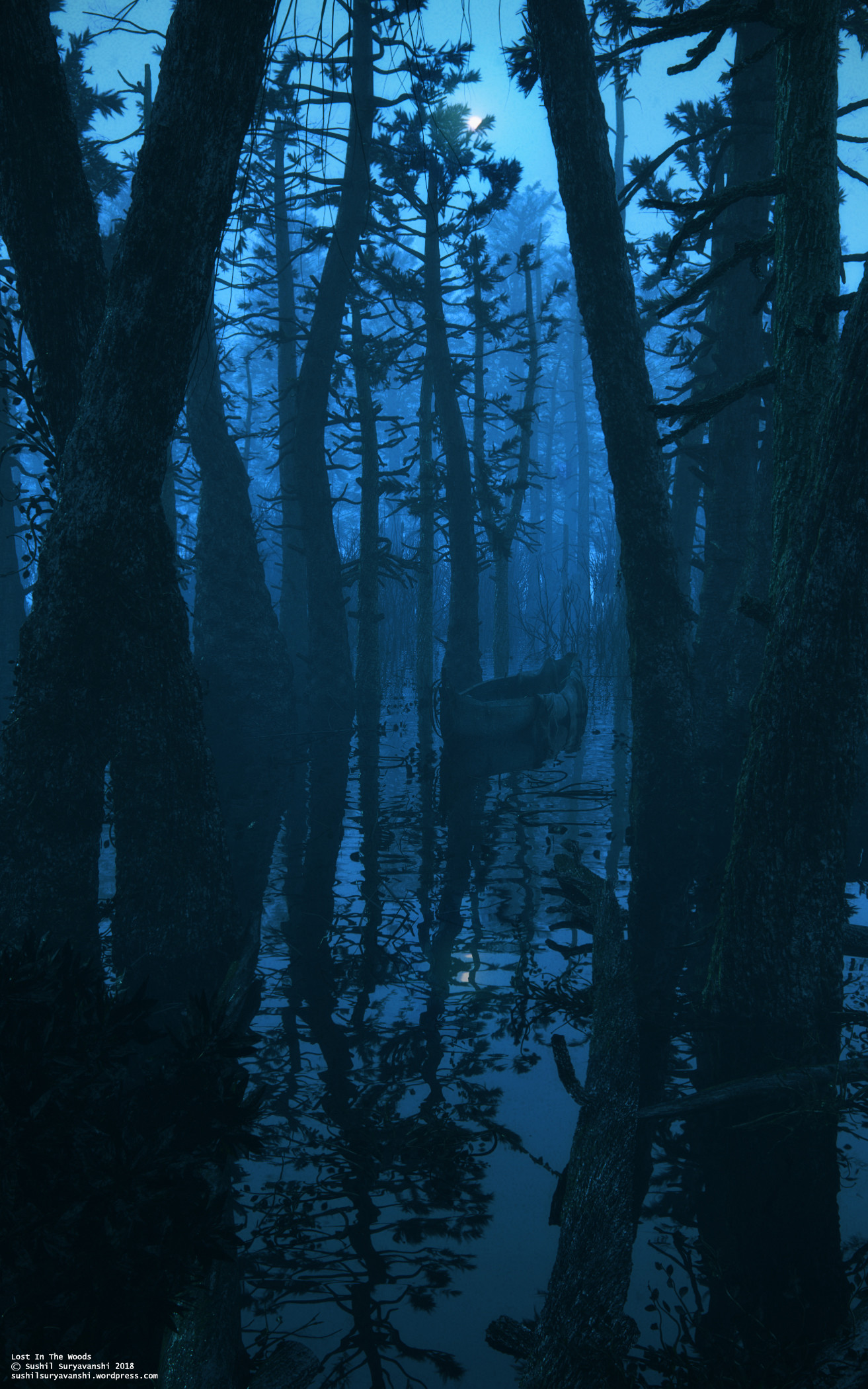 Sushil Suryavanshi - LOST IN THE WOODS + BREAKDOWN