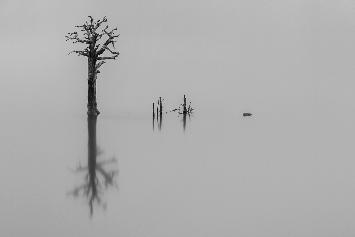 ArtStation - Soledad