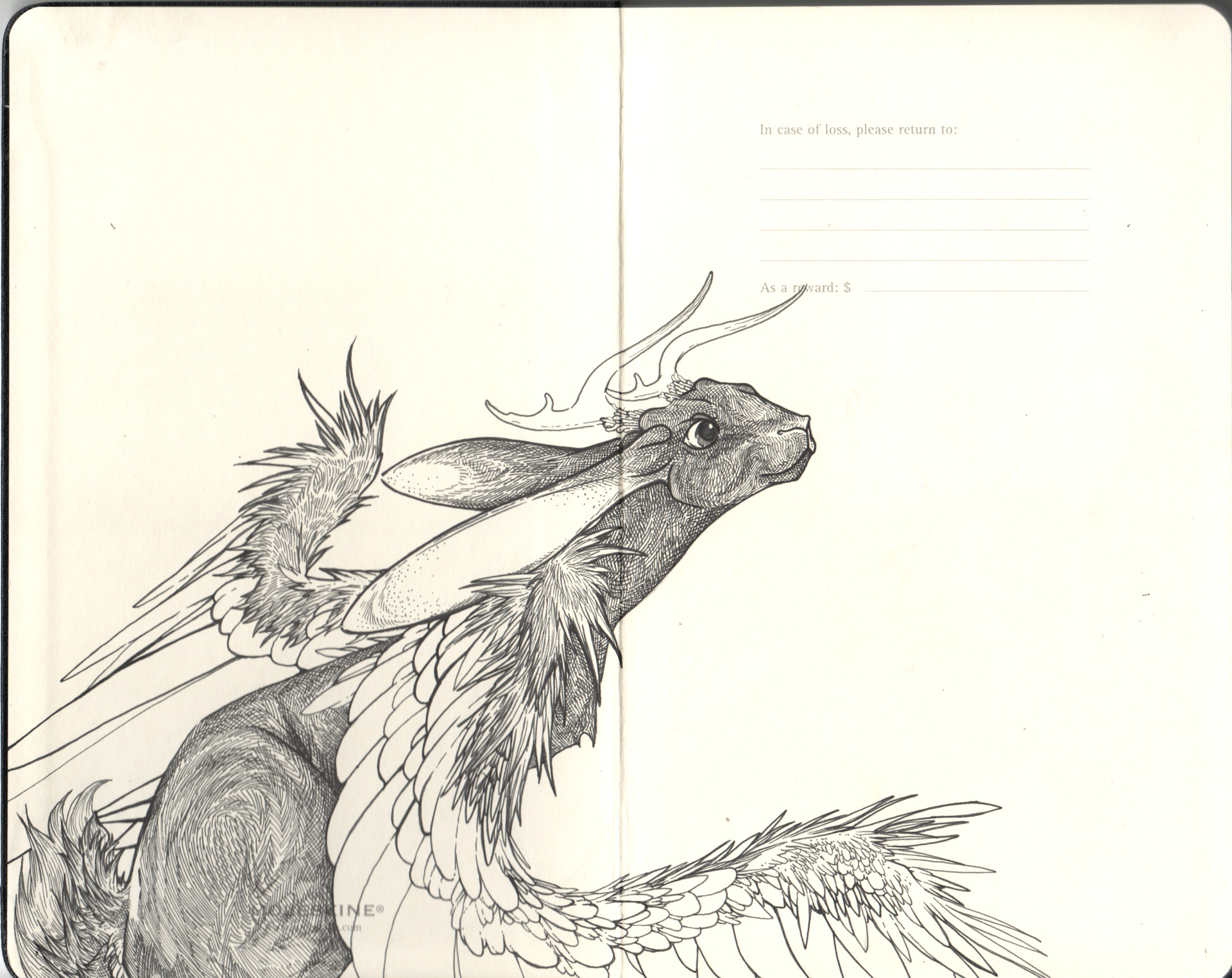 ArtStation - Winged Rabbit