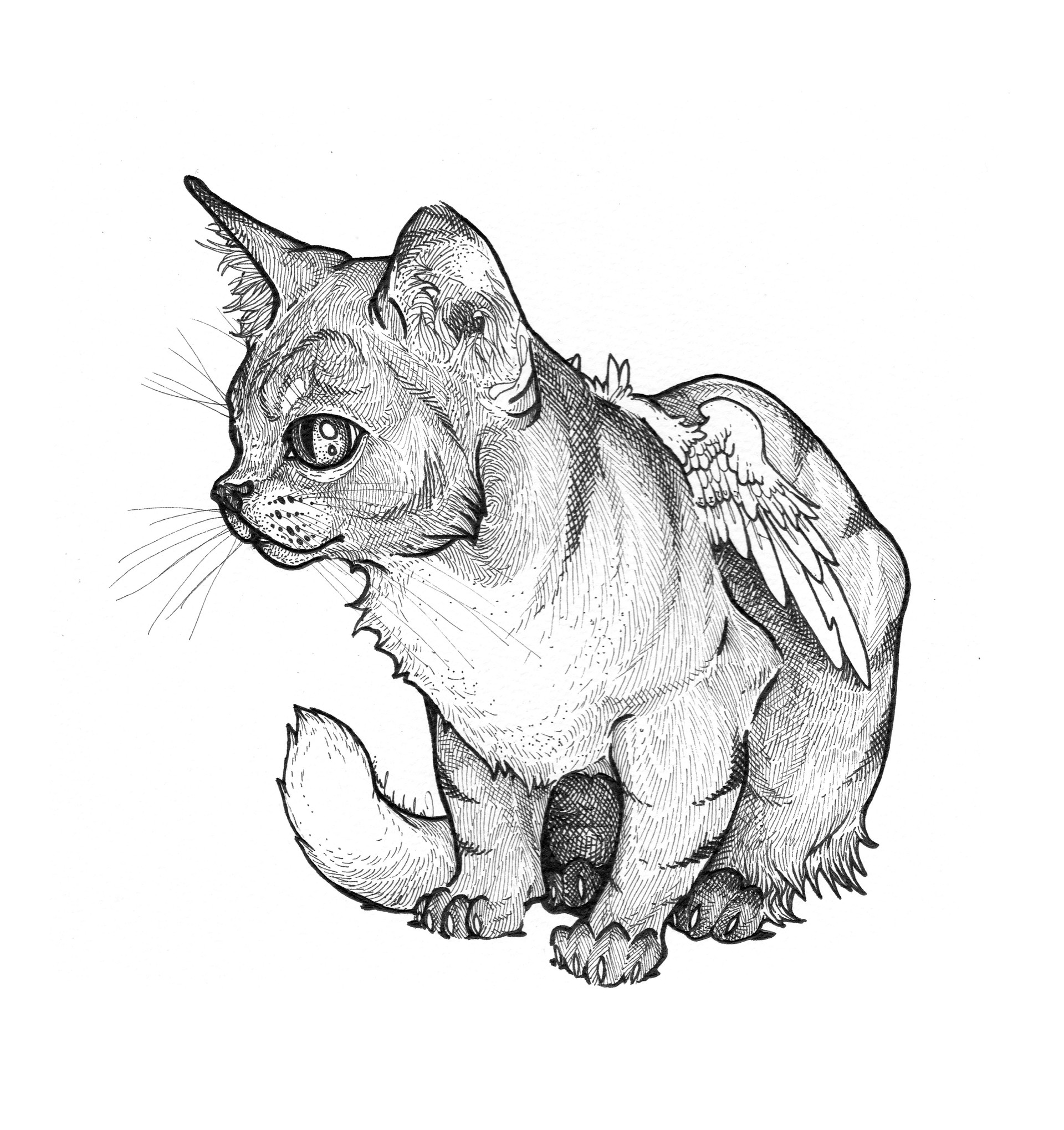 Cats With Wings Drawings