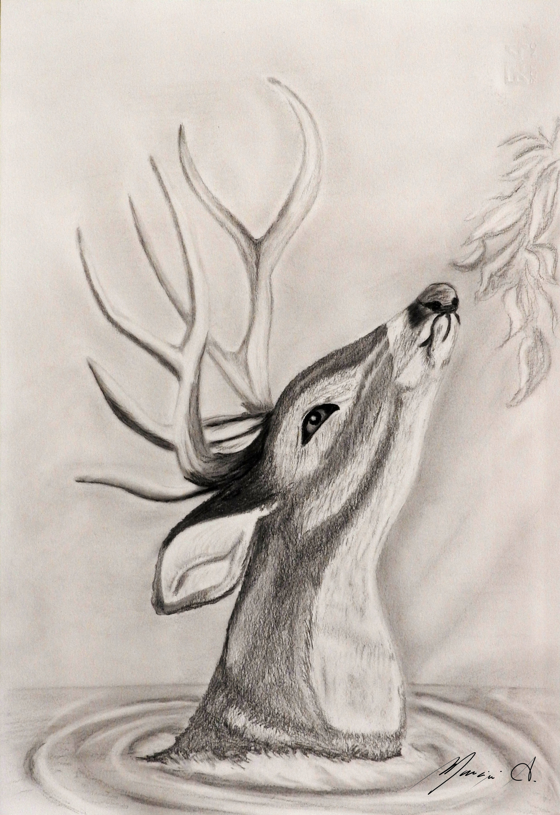 Anna Mancini - Pencil Art