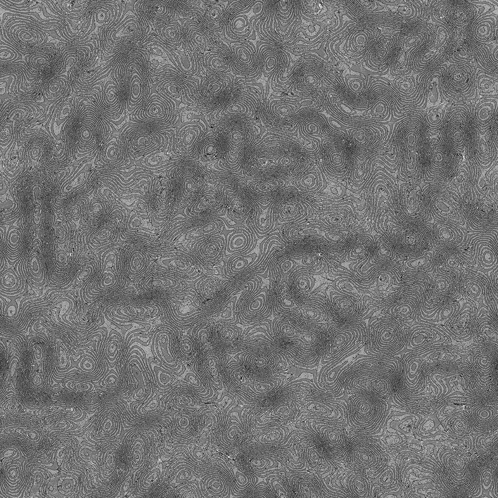 Damascus Steel Texture