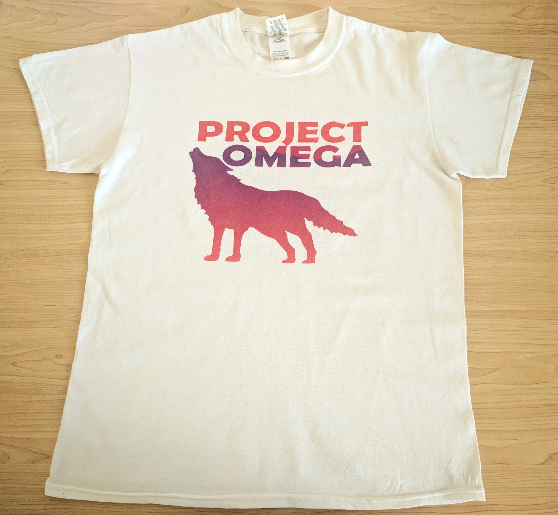 Ryan Hall - Project Omega Promo Art