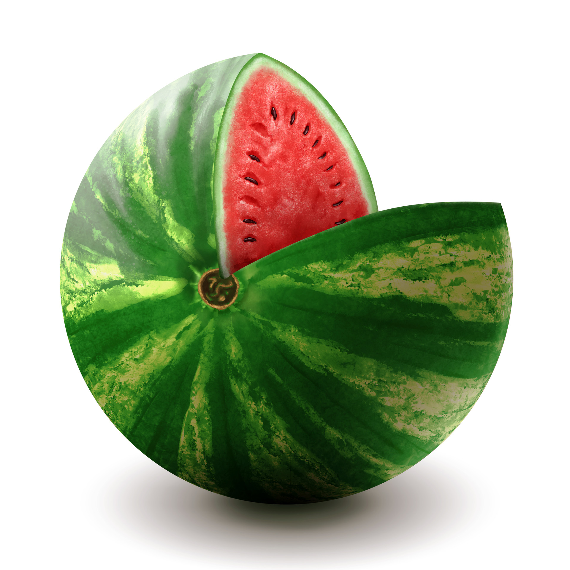 Doug Stevens - Watermelon Study