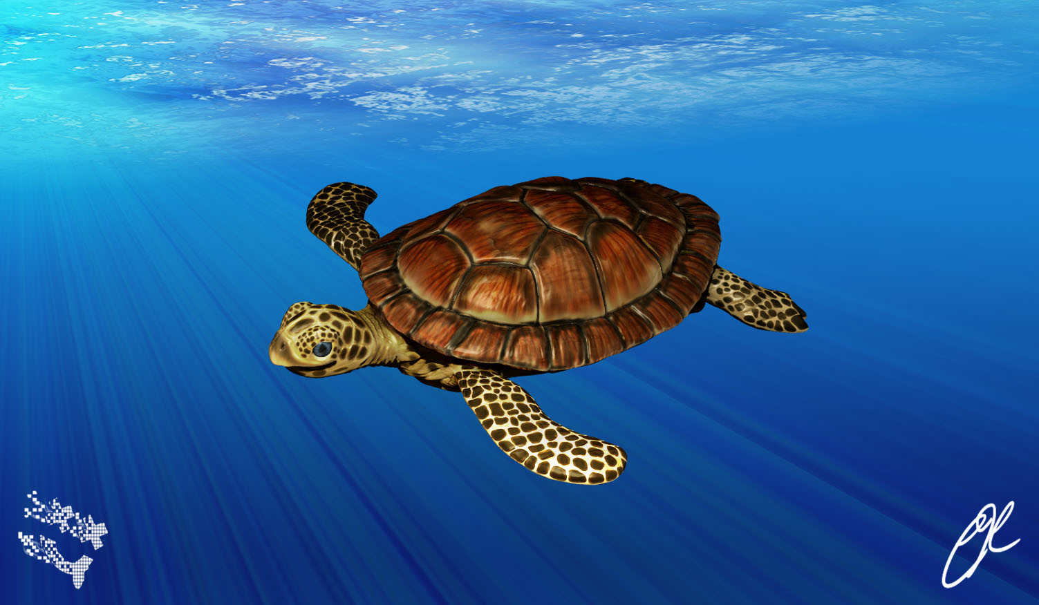 ArtStation - Sea Turtle