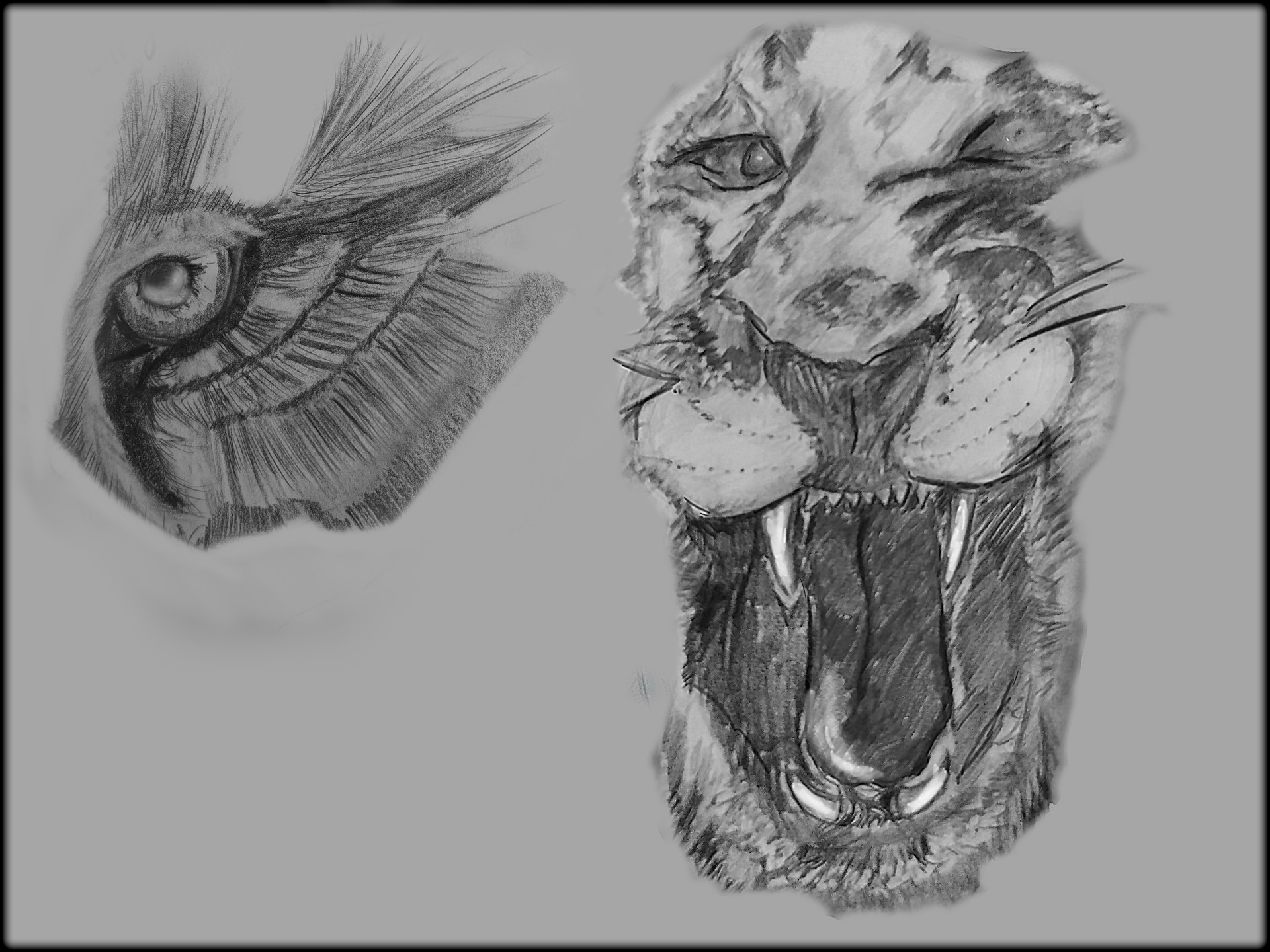 Matthew Roberts - Traditional Artwork