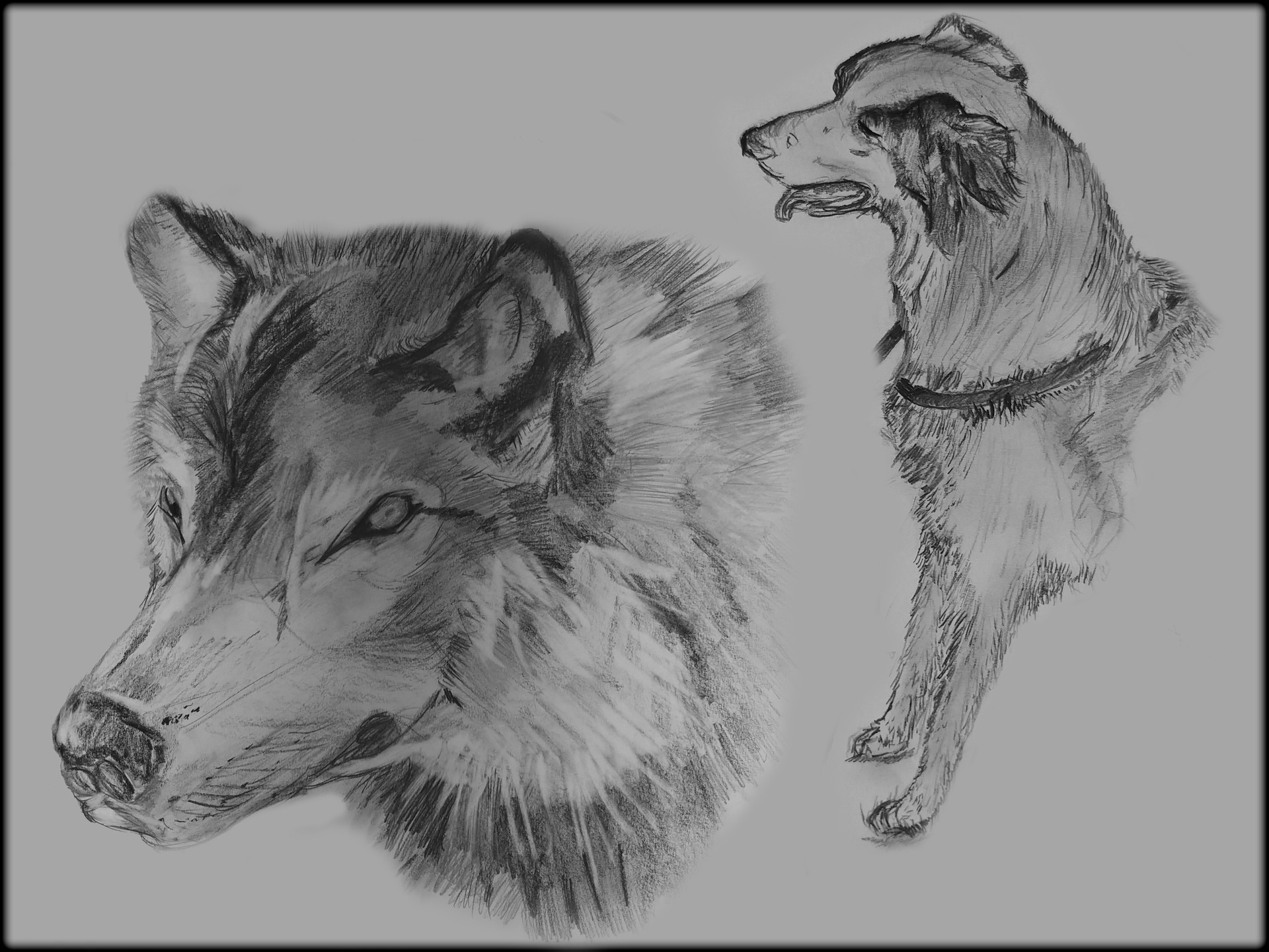 Matthew Roberts - Traditional Artwork