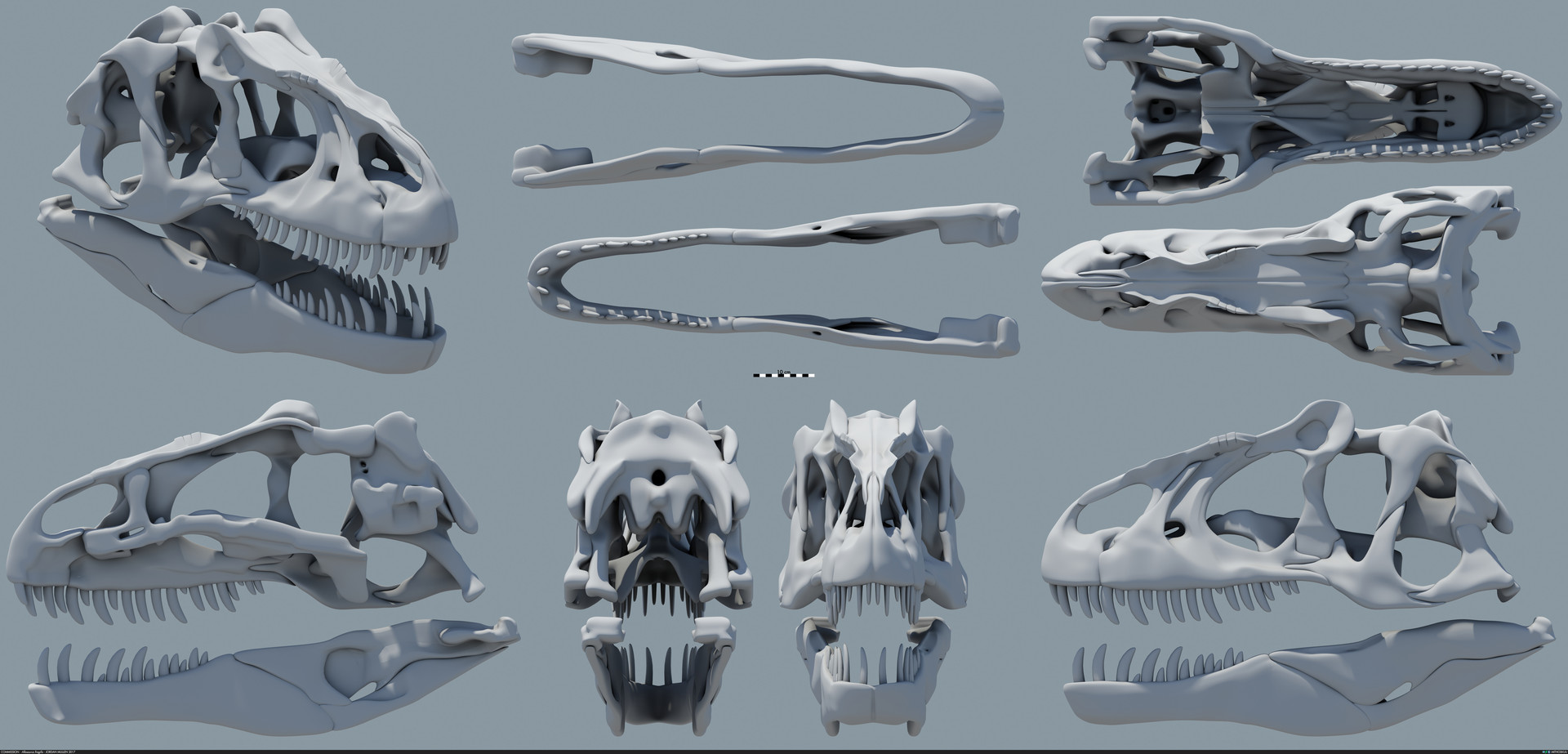 ArtStation - Dinosaur skeletal reference