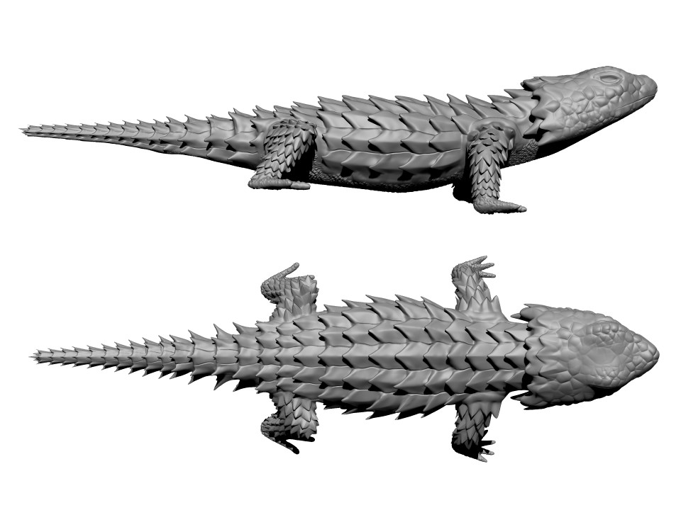 ArtStation - Armadillo Girdled Lizard