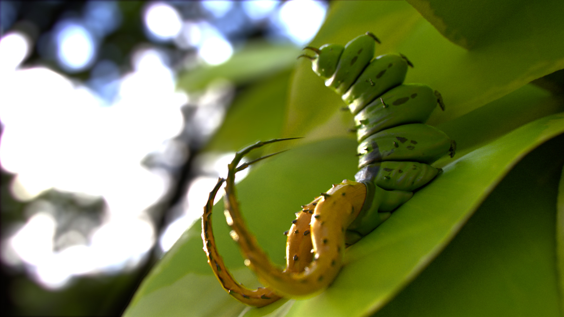 ArtStation - LunchCrunch BUG!