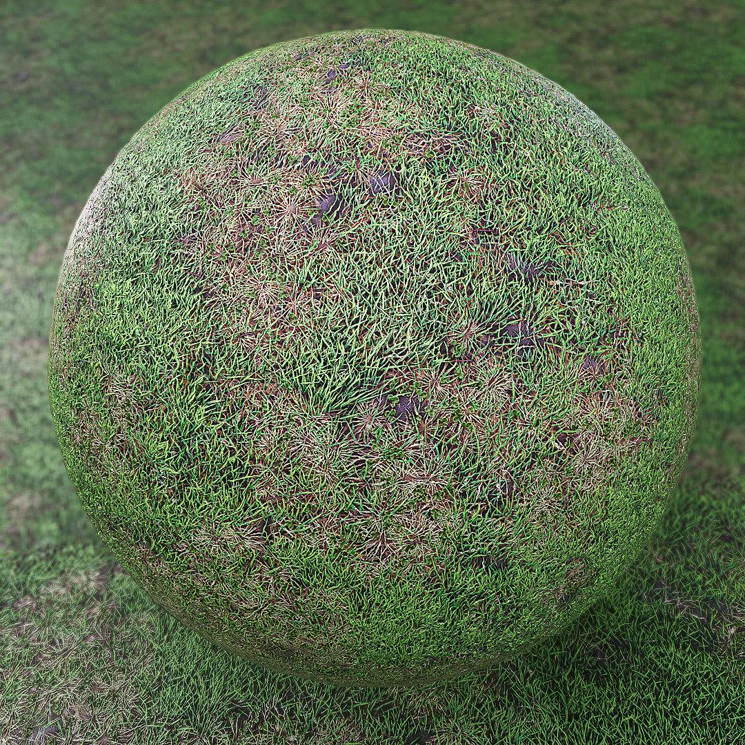 Grzegorz Baran - Grass - Procedural Material