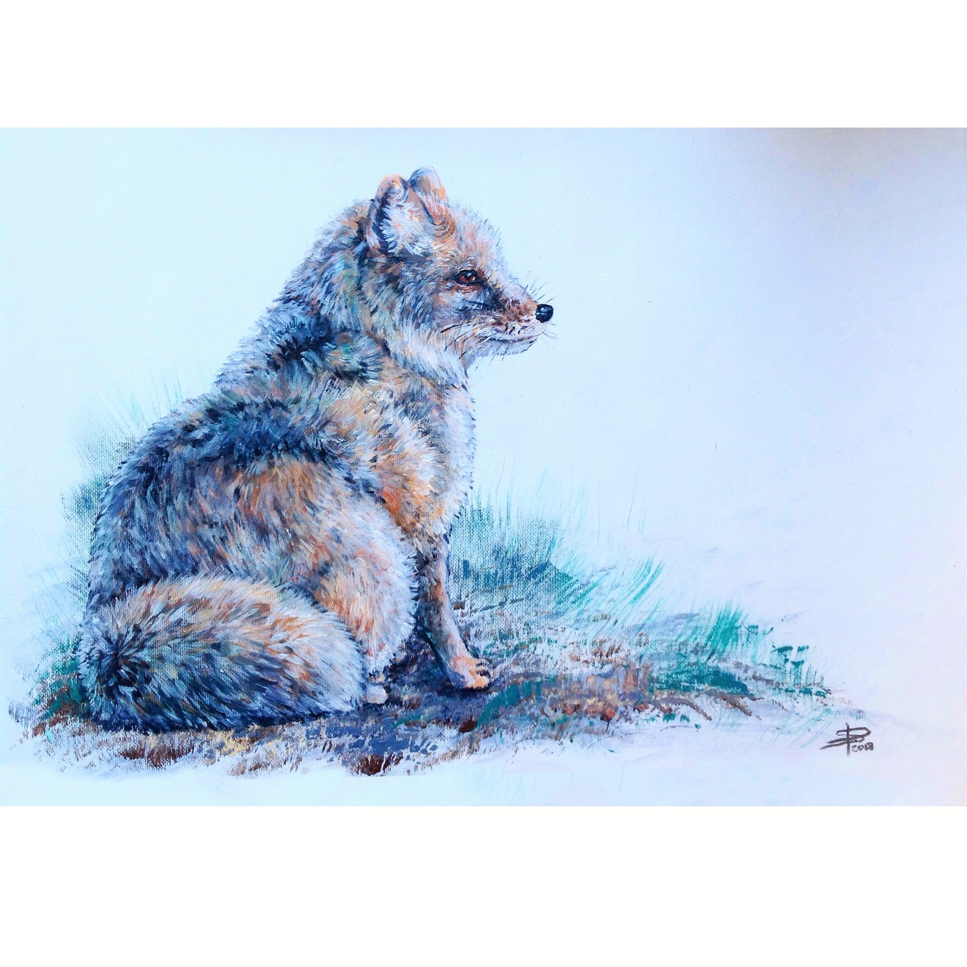 ArtStation - Corsac Fox