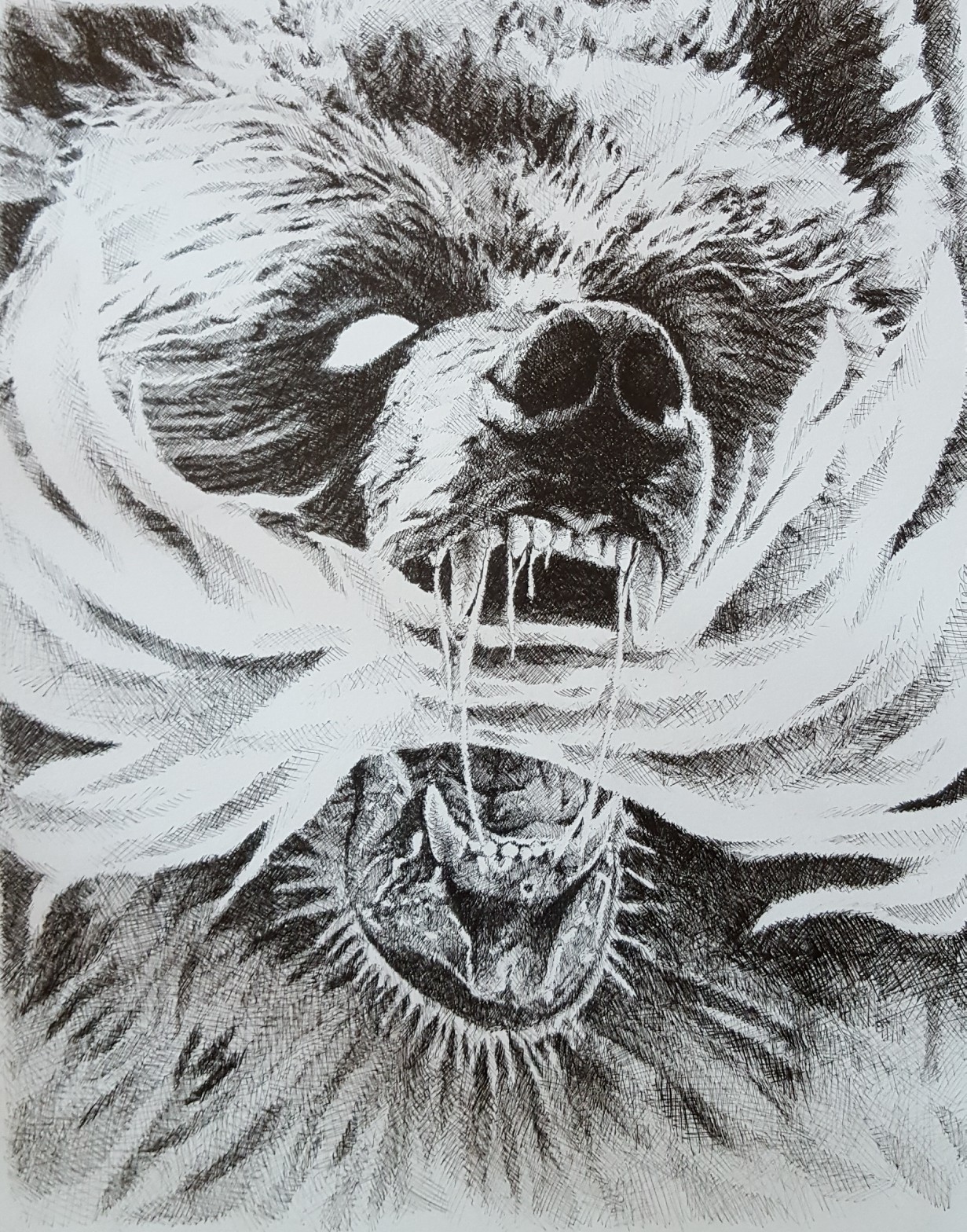 ArtStation - Ink/Pen Series #3: Bear