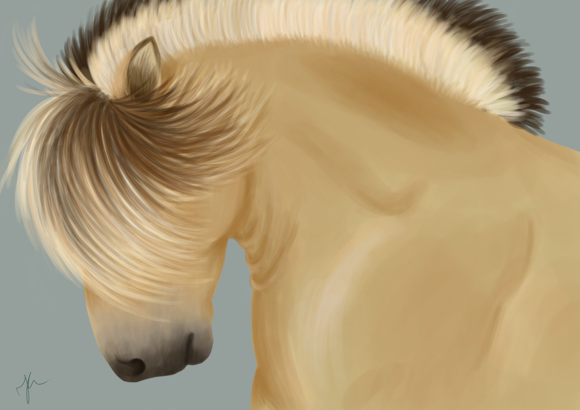 Fjord Horse Wallpaper