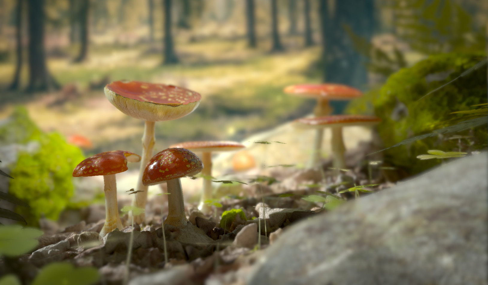 ArtStation - Mushrooms