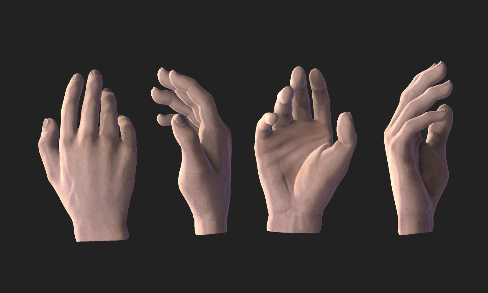 Anais Sanchez - Ecorche Anatomy Study