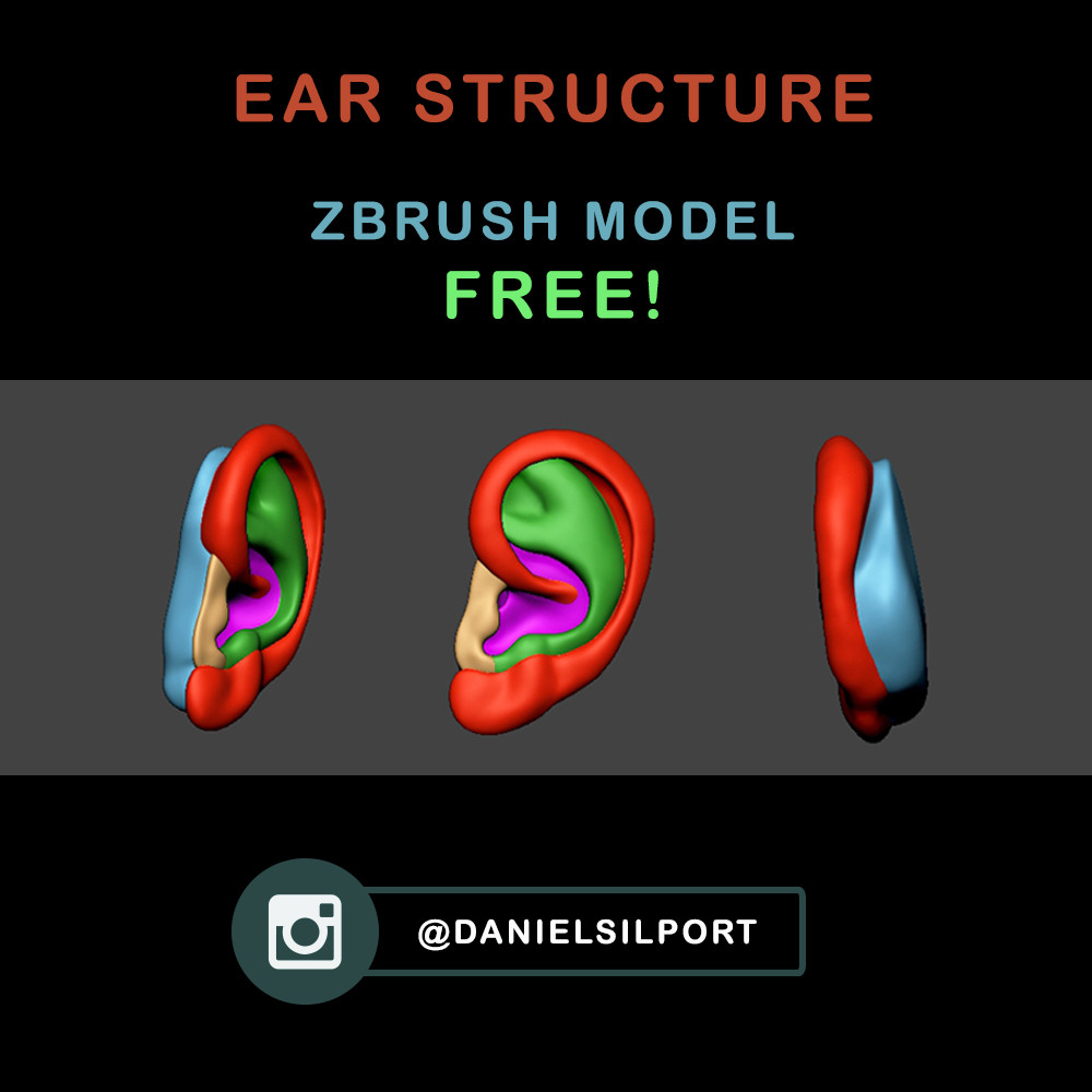 ArtStation - Zbrush Ear Model Free