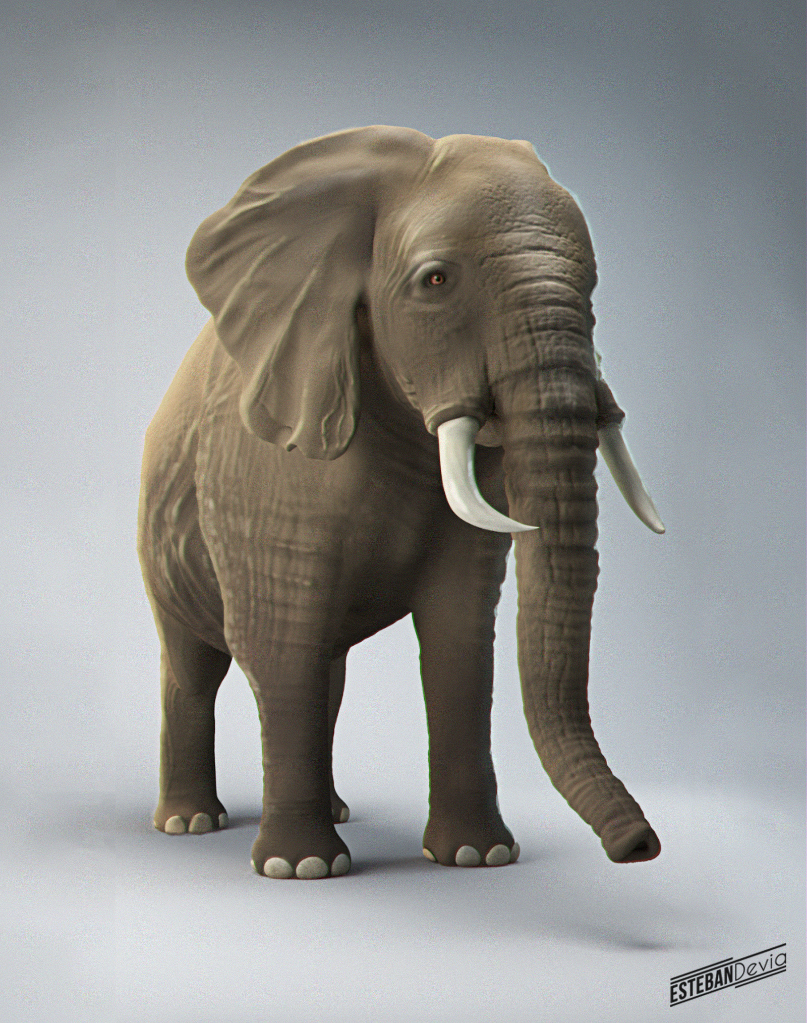 Esteban Devia - Edward the Elephant