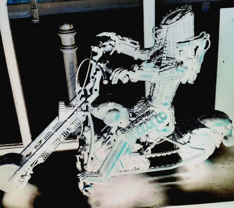 Terry Herbert - The alien rider.