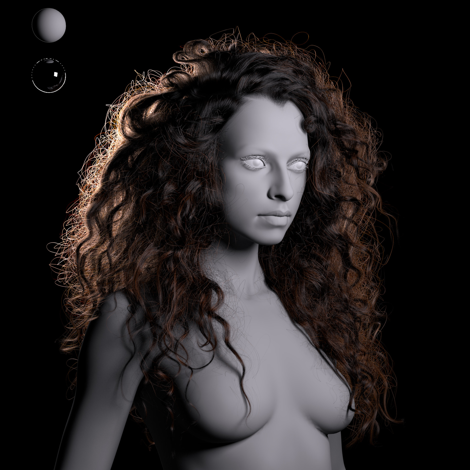 Bassem Shenouda - Groom artist . - XGen Curly Hair study