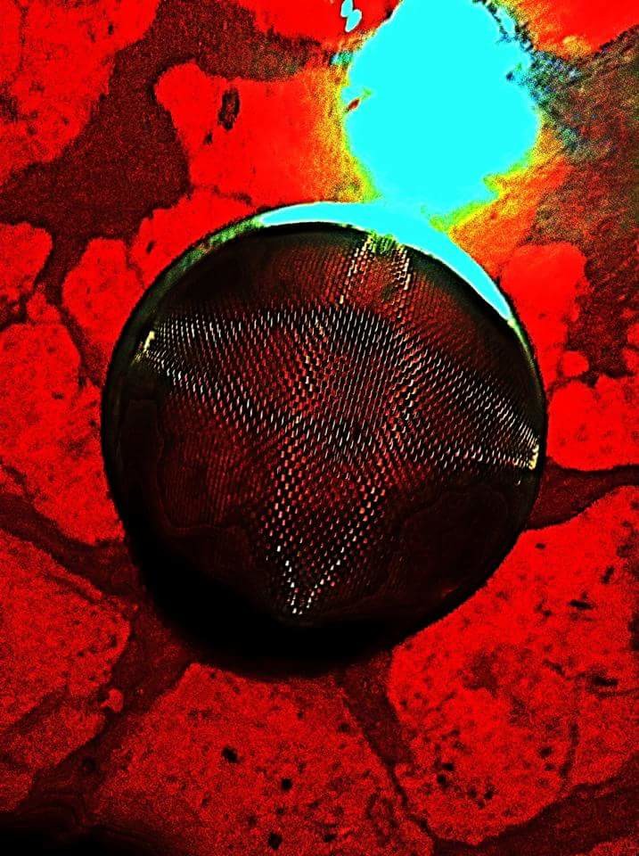 Terry Herbert - From the Oort Cloud.