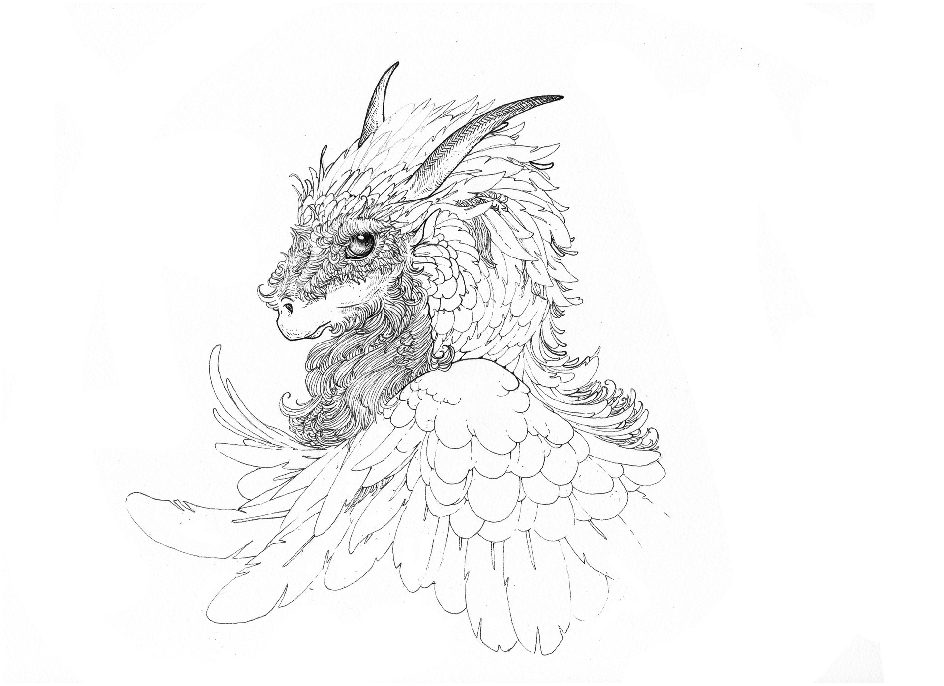 ArtStation - Feathered Dragon