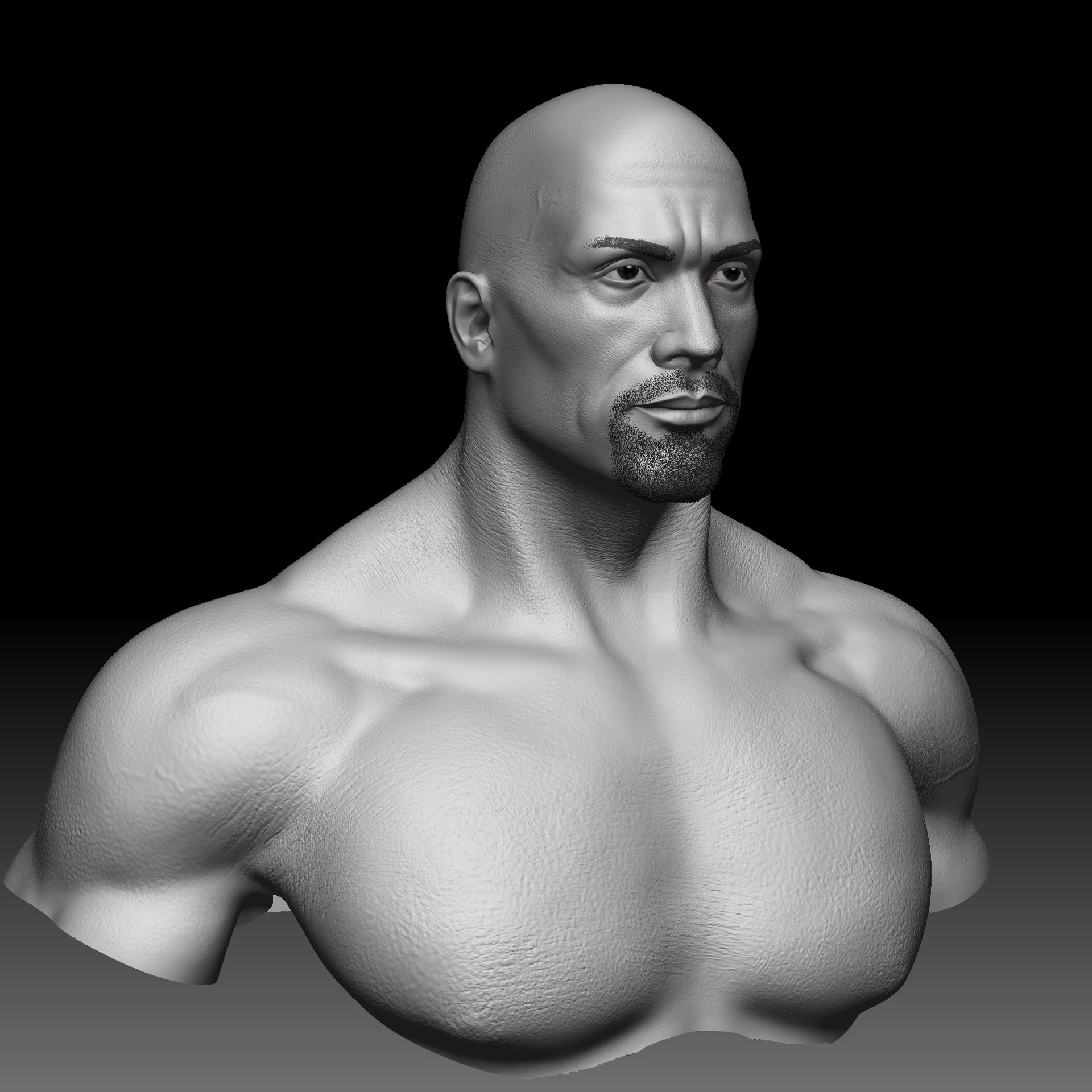 ArtStation - the rock bust