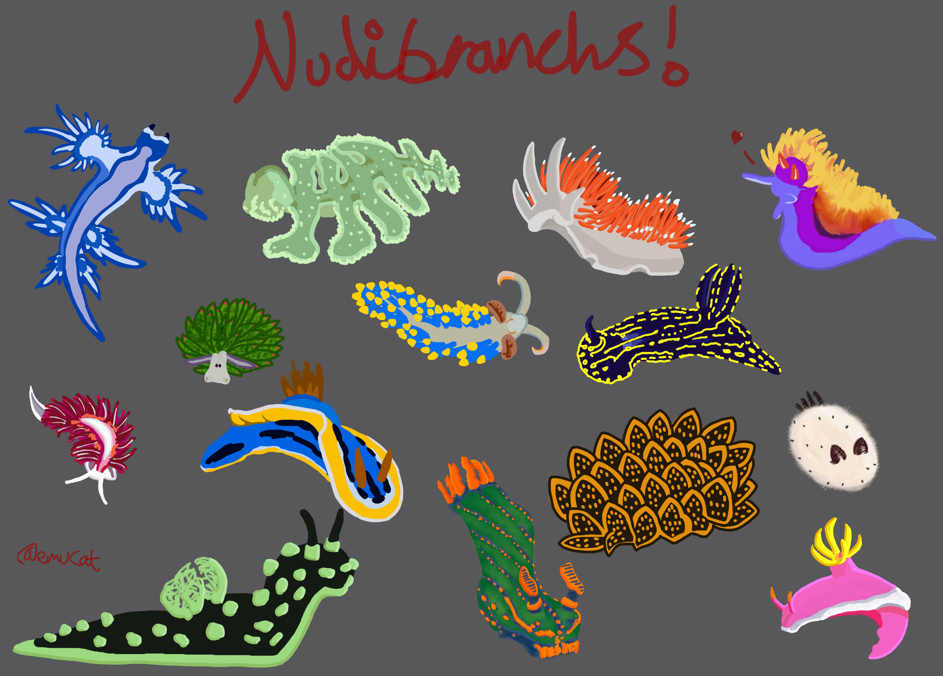Emma Catherine - Nudibranchs