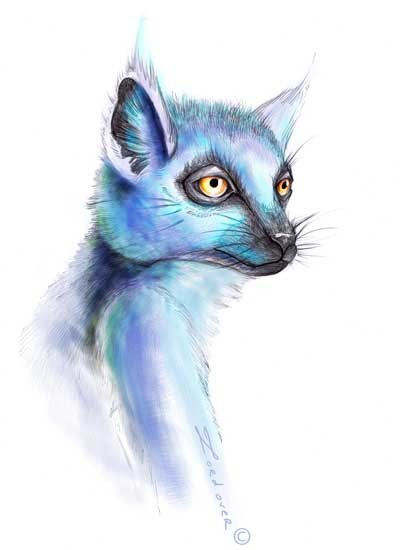 ArtStation - Lémurien bleu - Blue lemur