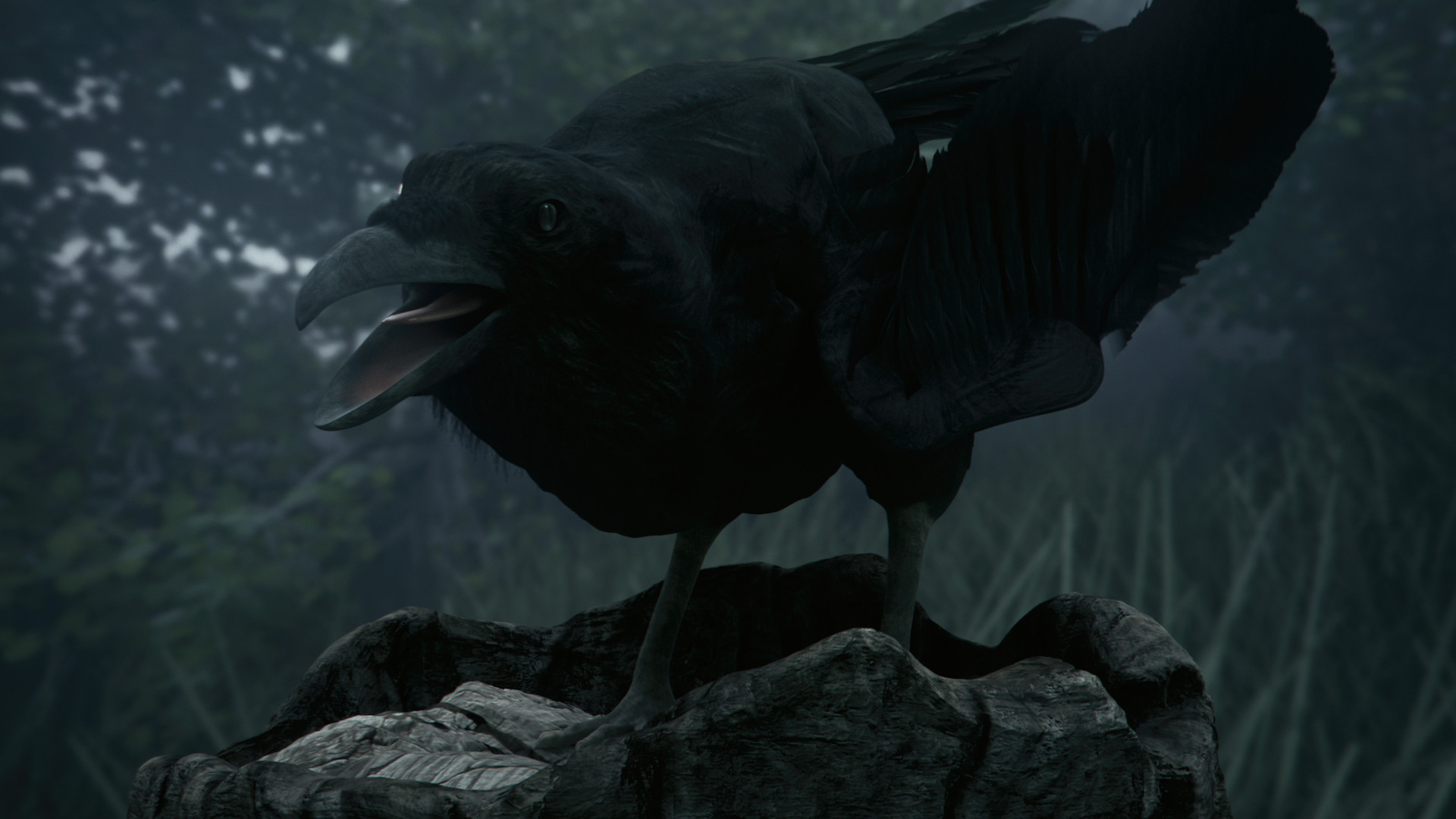 Christian Otten - Wynyard