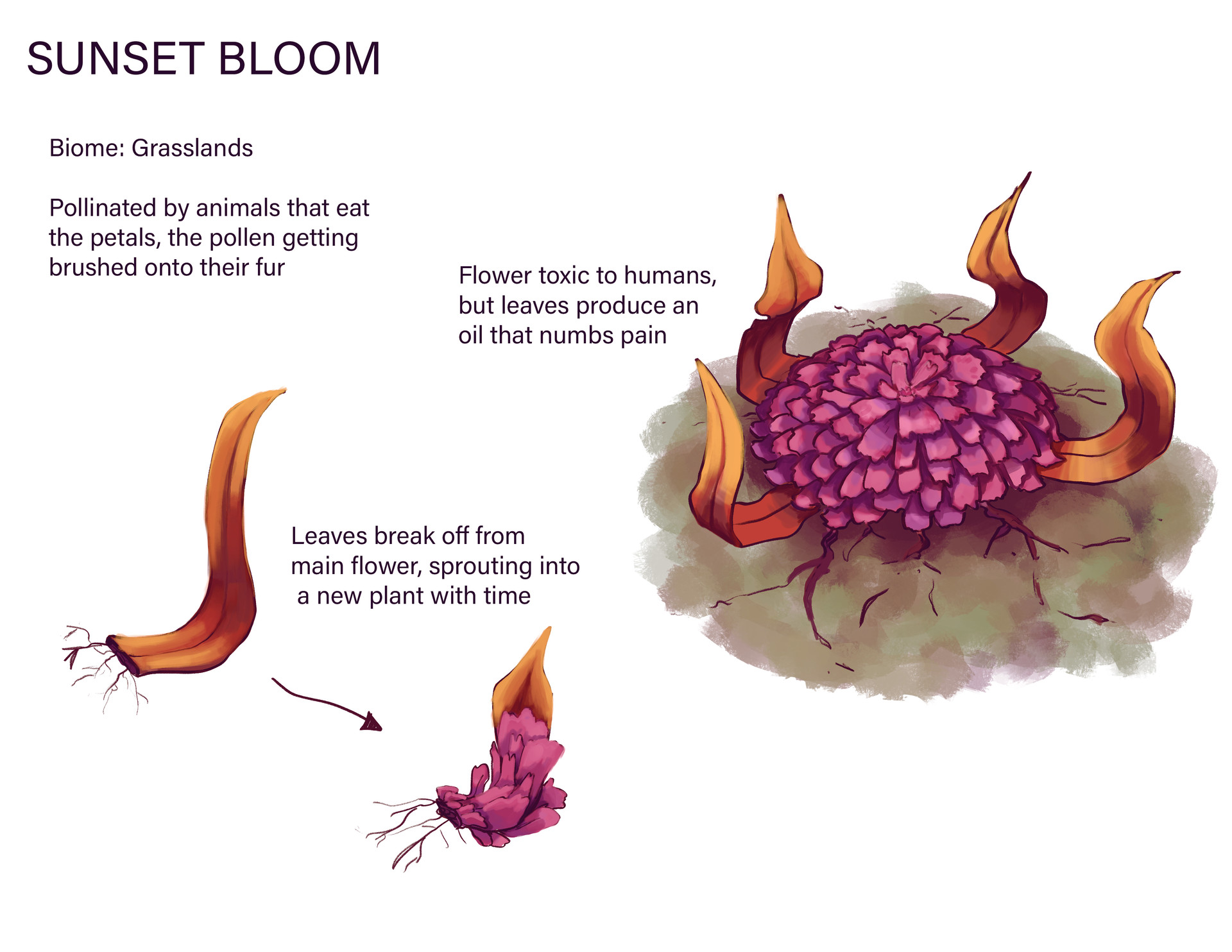 ArtStation - Xenoflora: Misc Plants