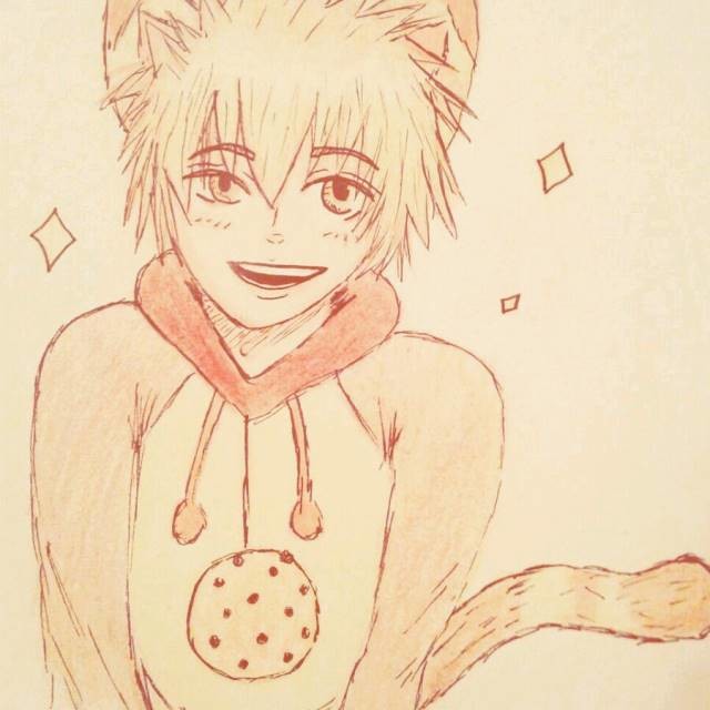 Neko Fox Guy