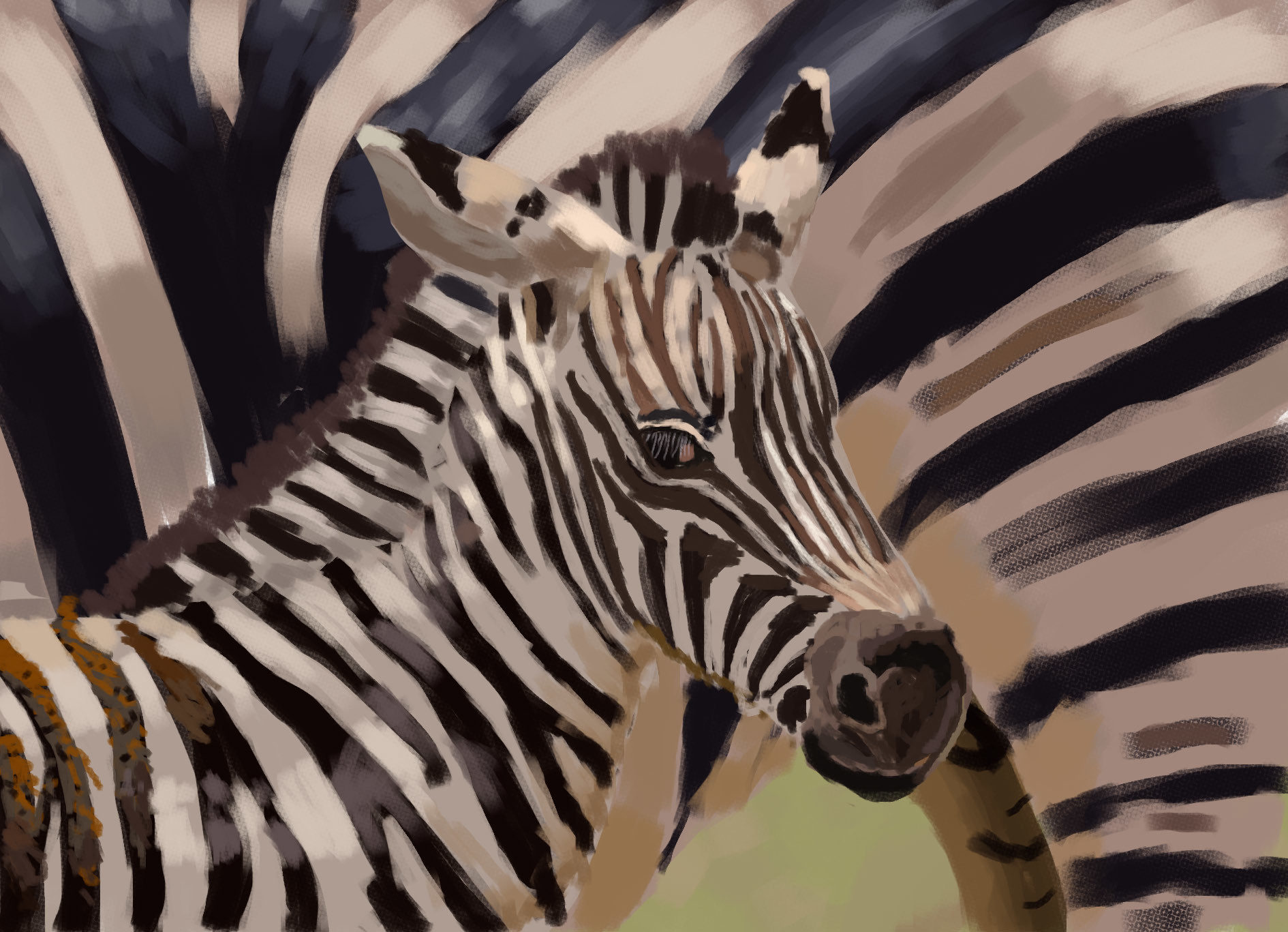 ArtStation - Zebre