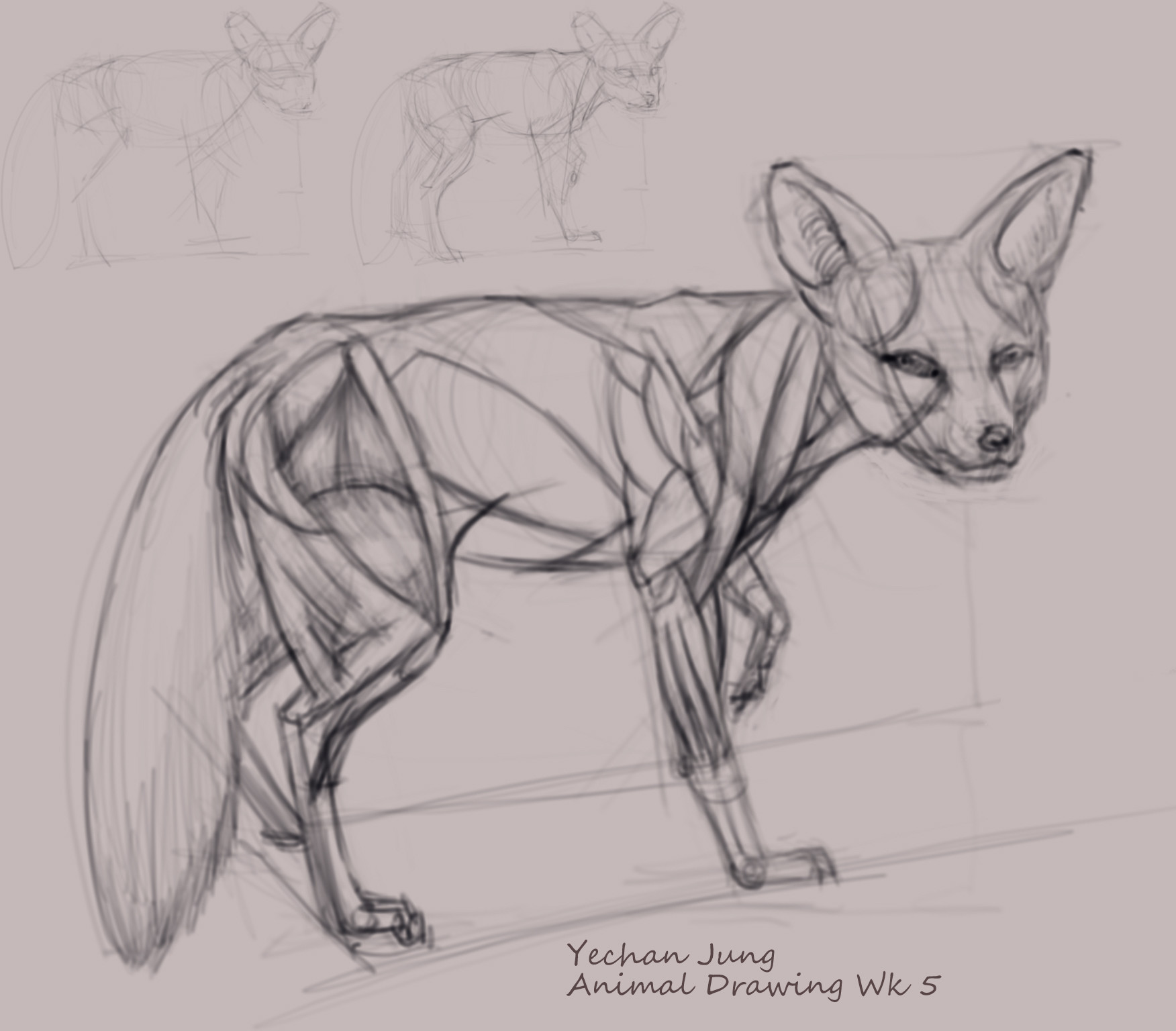 Yechan Jung - Canine Feline Study