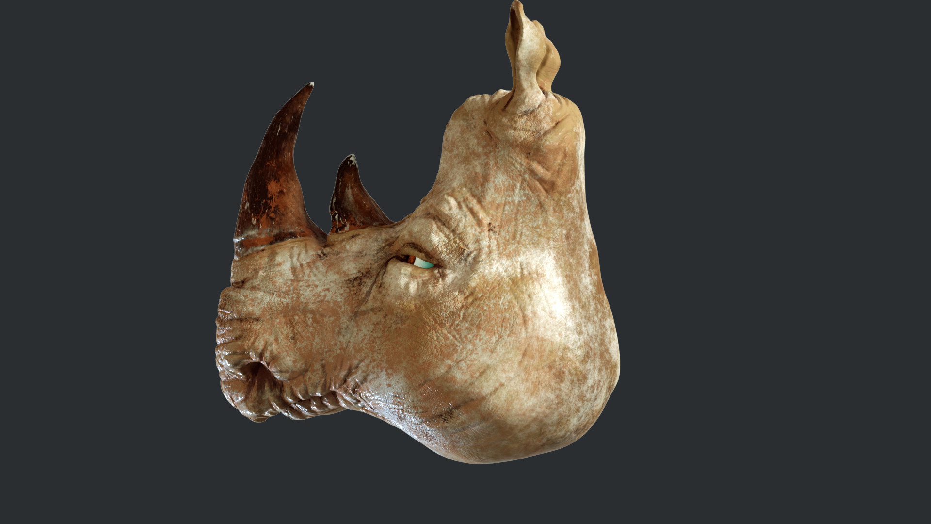 Mark Parris - Z-Brush - Rhino Head