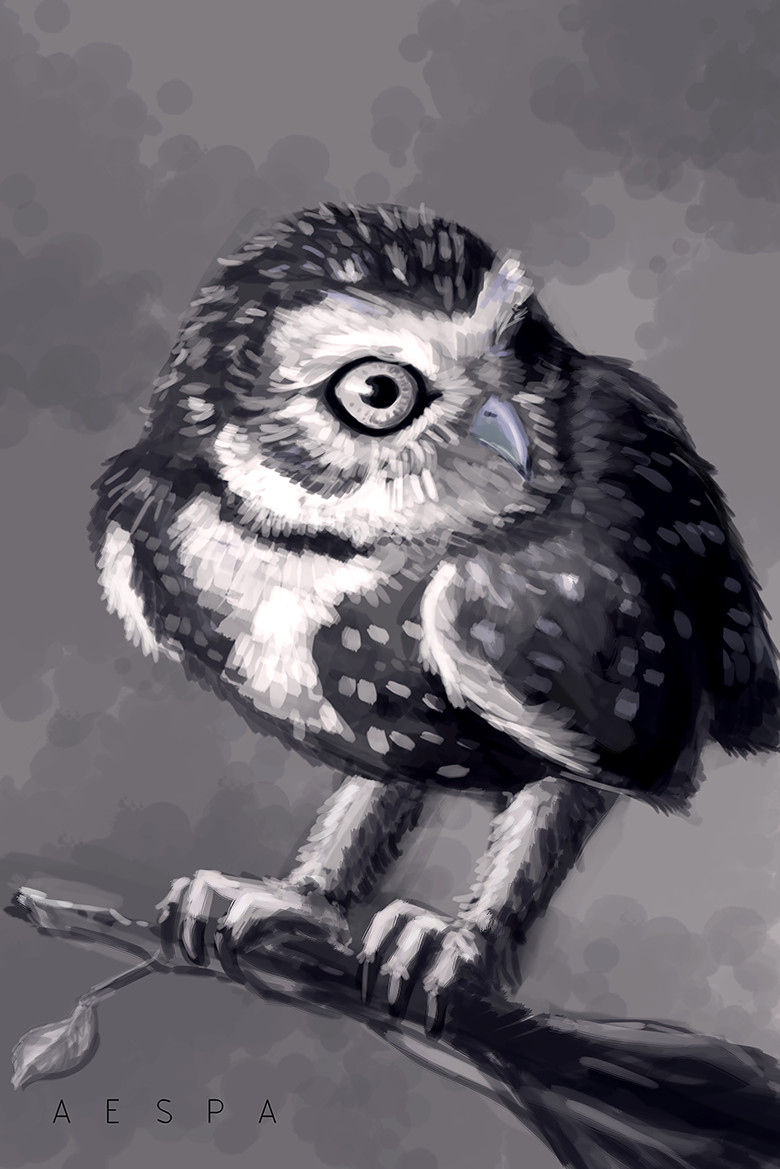 ArtStation - Lechuza
