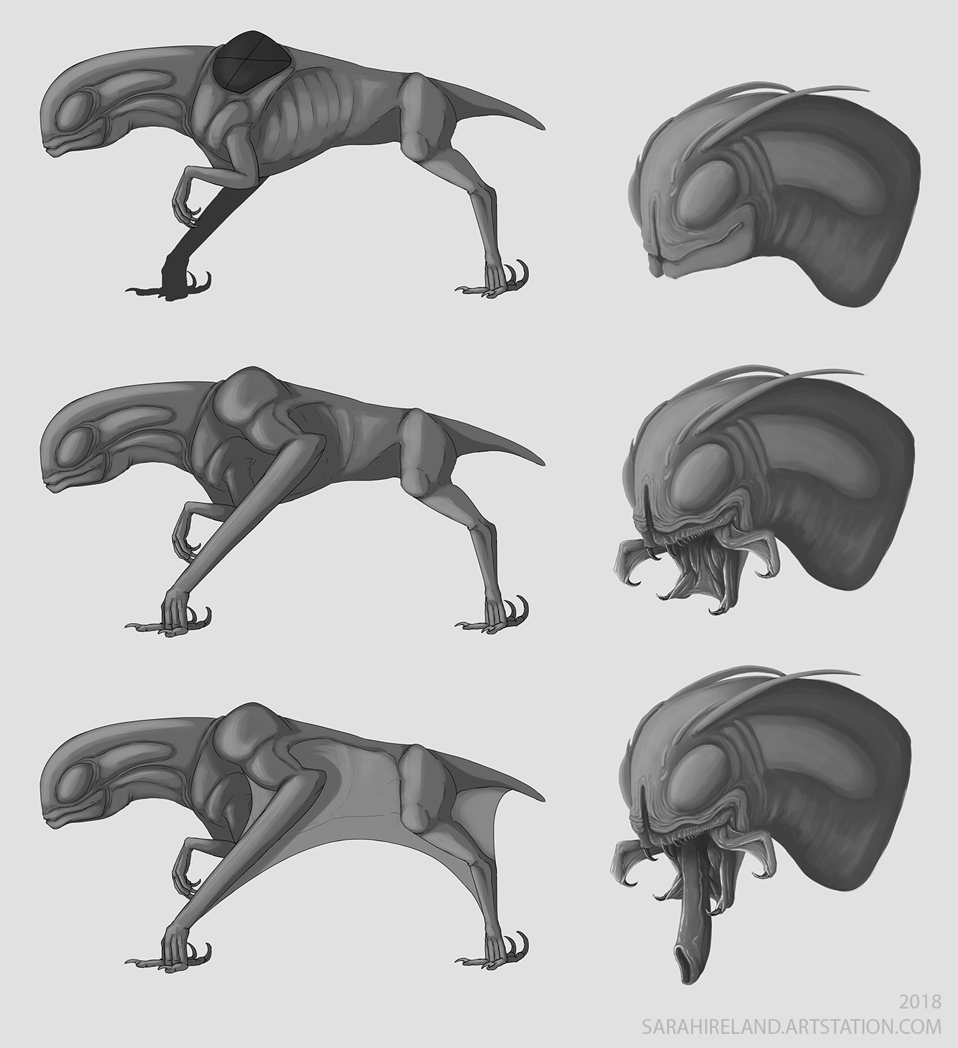 Alien Creature Design