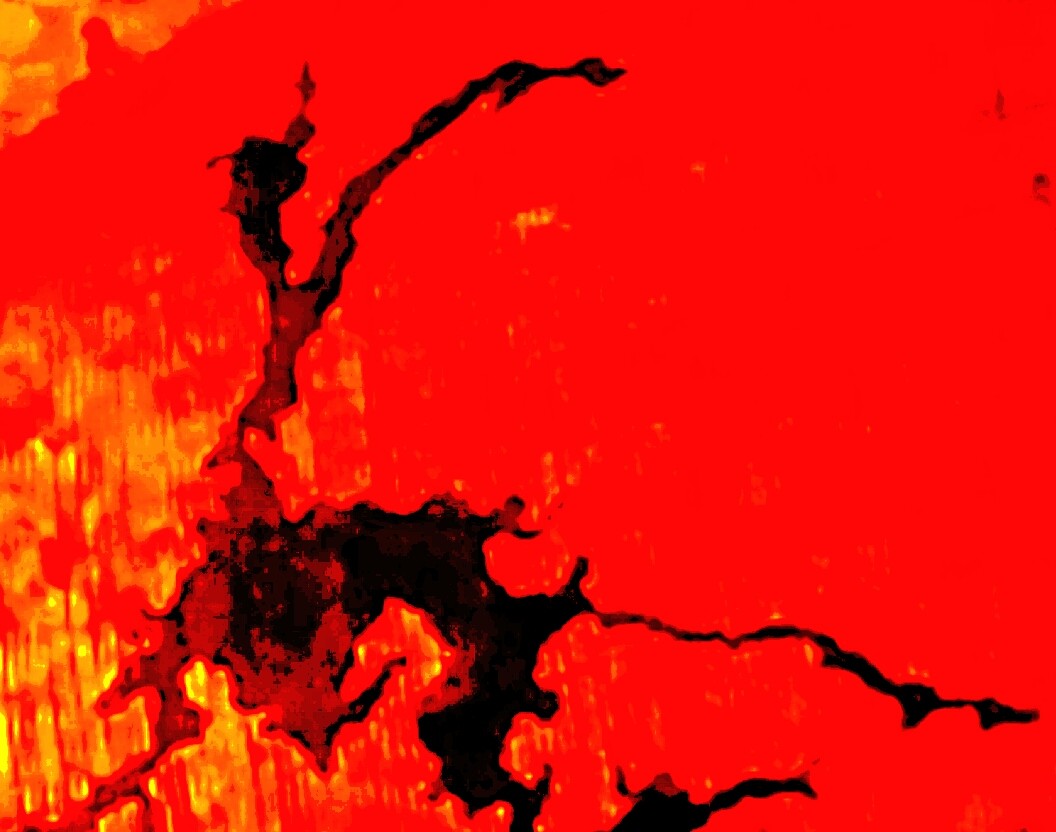 ArtStation - No Title