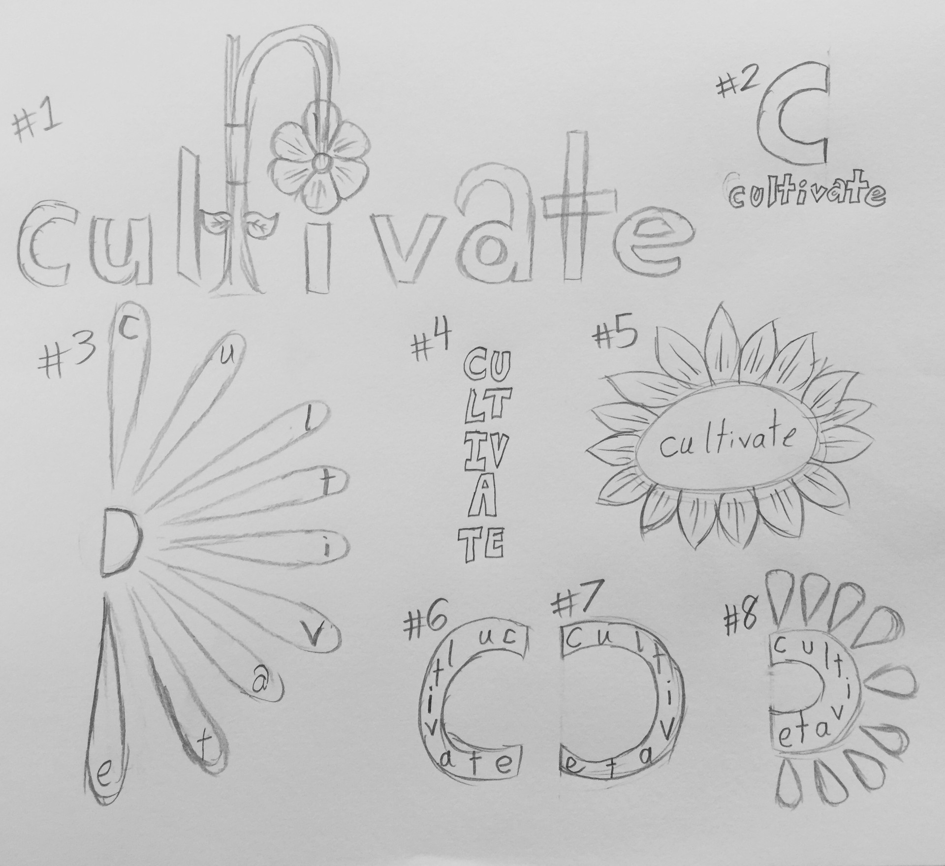 Nikki Bruce - Balsamic Vinegars Project