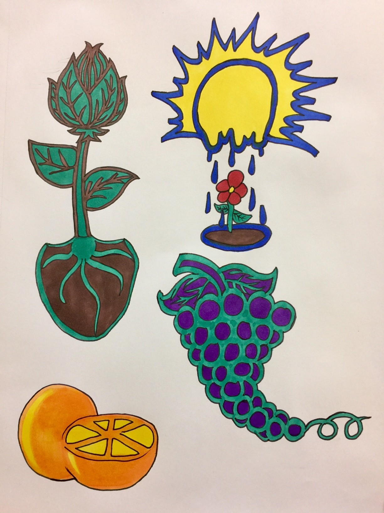 Nikki Bruce - Balsamic Vinegars Project