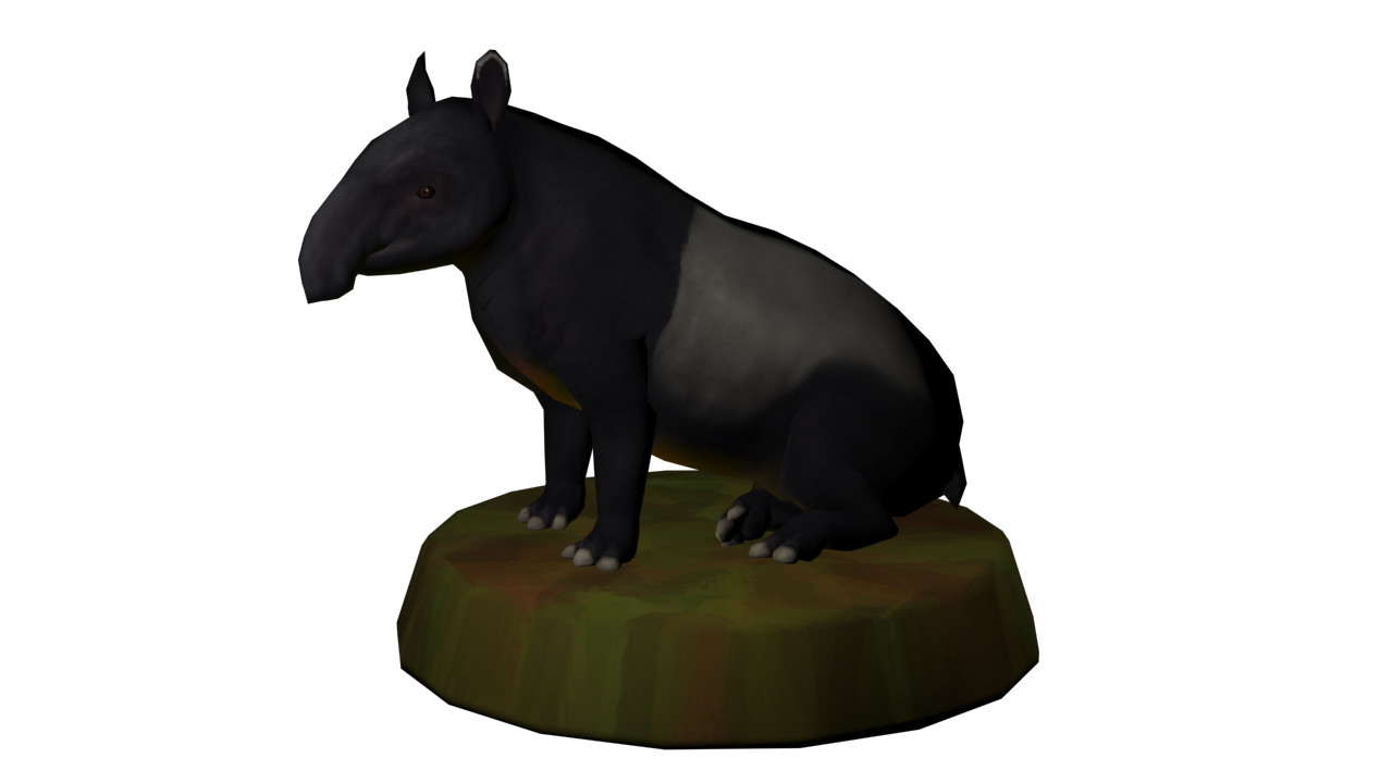 Kathryn Hanson - Malayan tapir